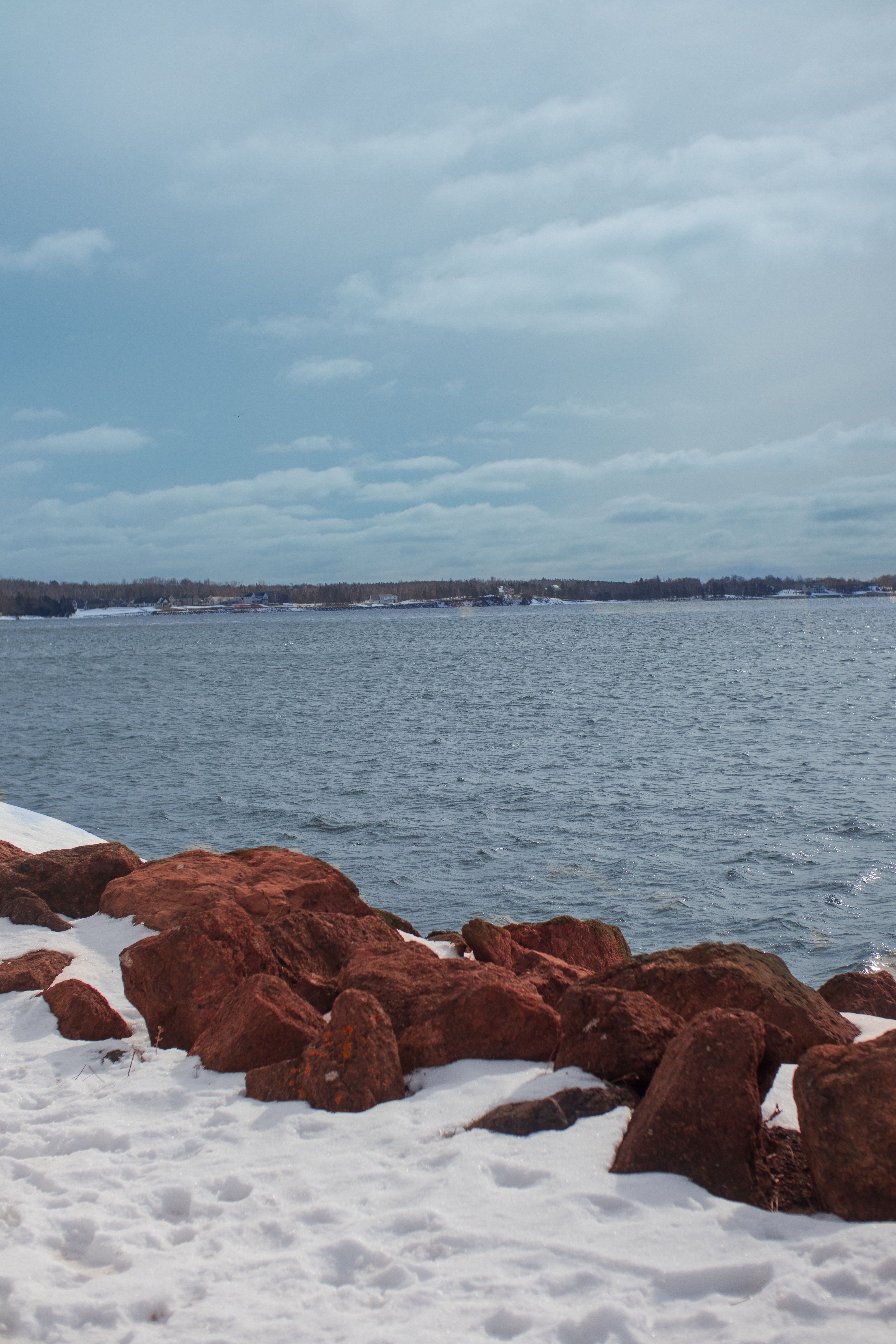 Bay in Winter · Free Stock Photo