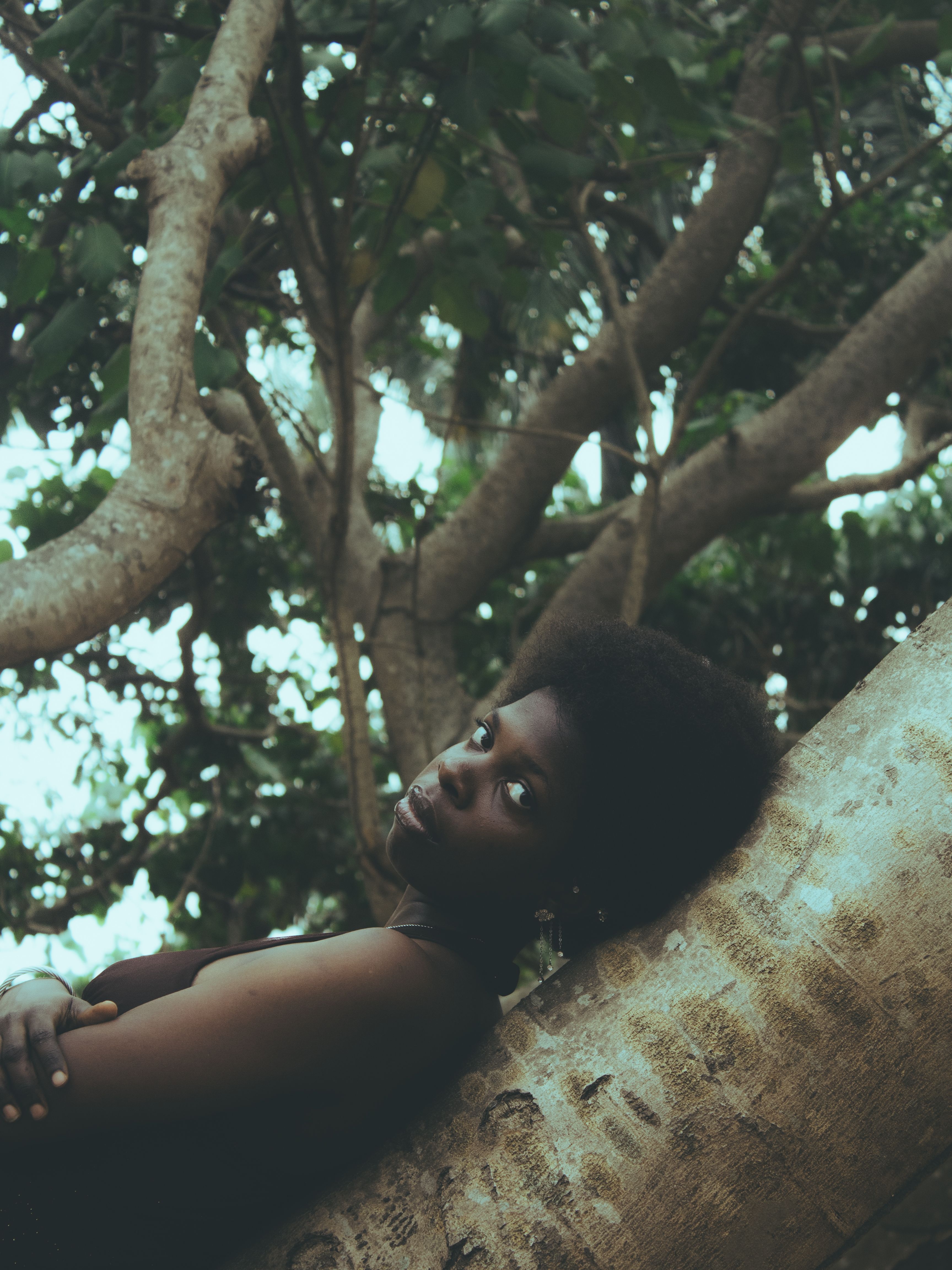 Young Woman Leaning against a Tree Branch · Free Stock Photo
