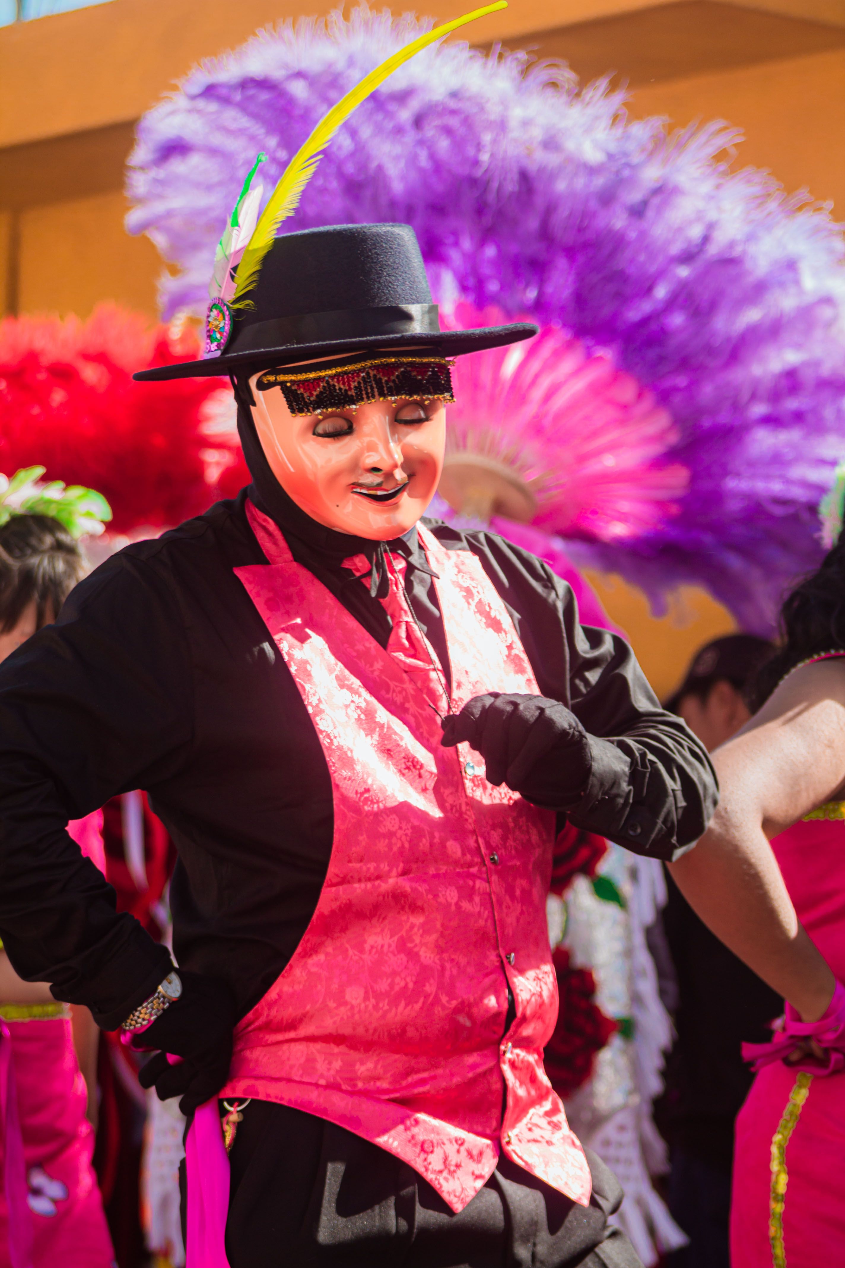 Portrait of Person in Carnival Costume · Free Stock Photo