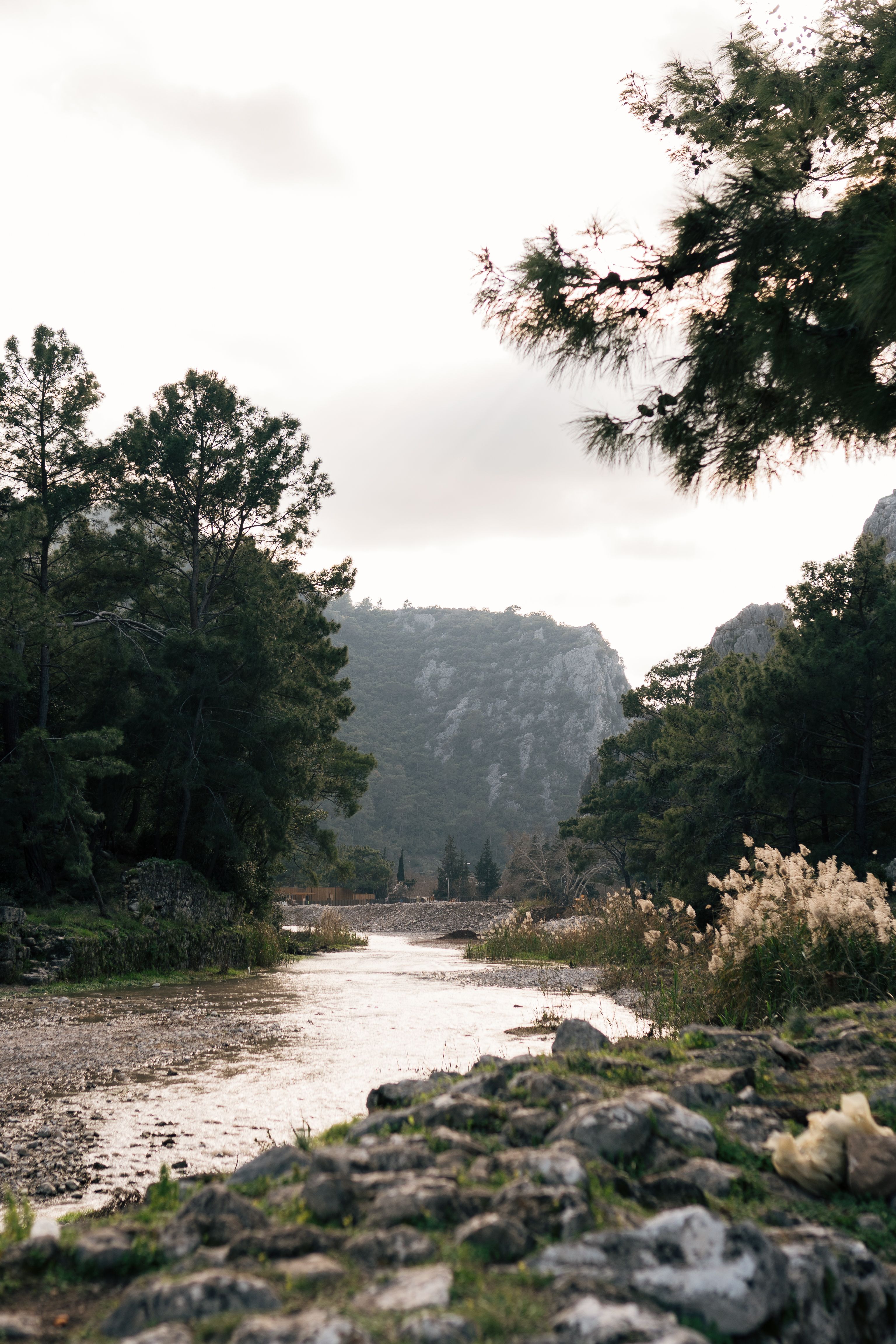 View of a River · Free Stock Photo