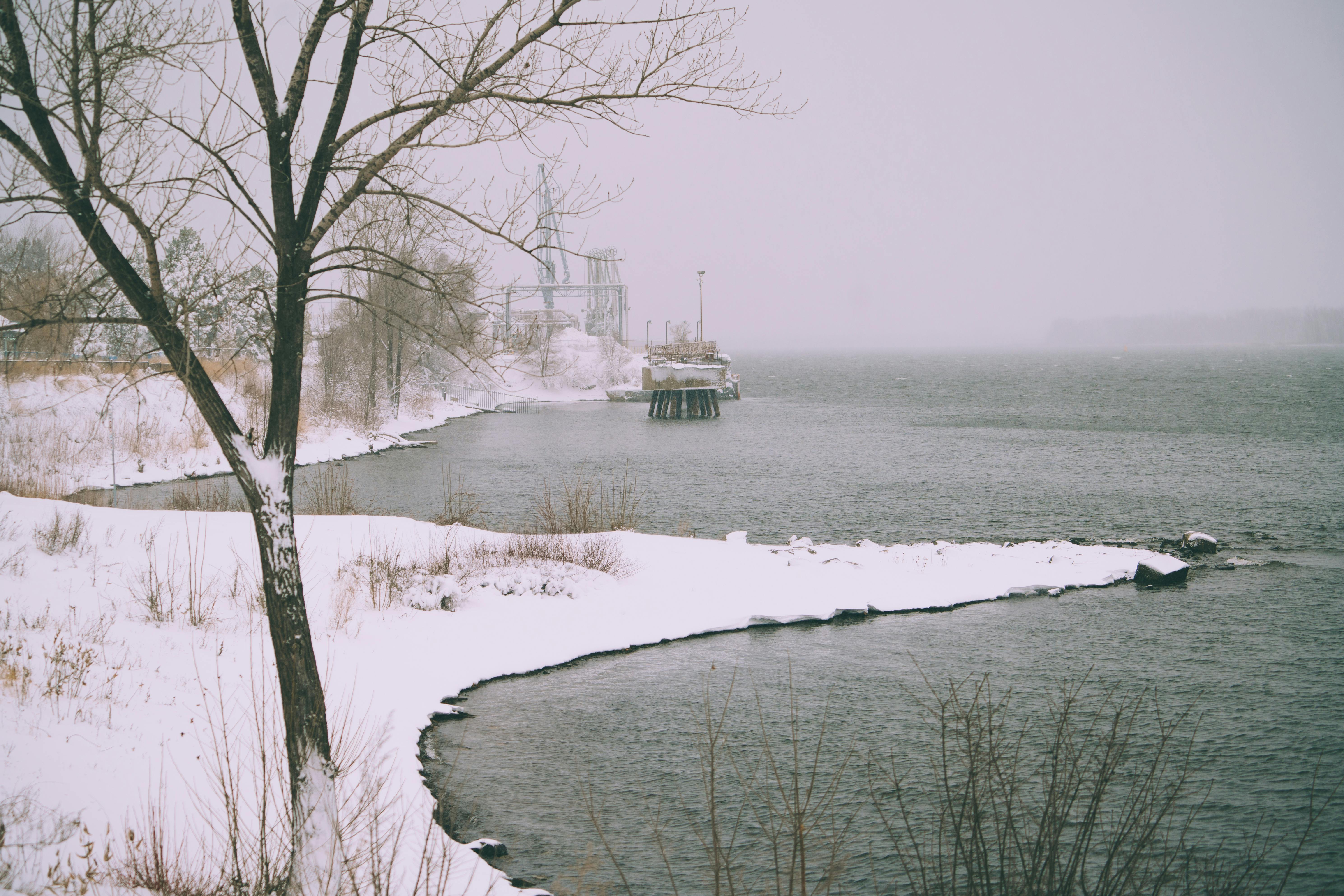 A Lakeshore in Winter · Free Stock Photo
