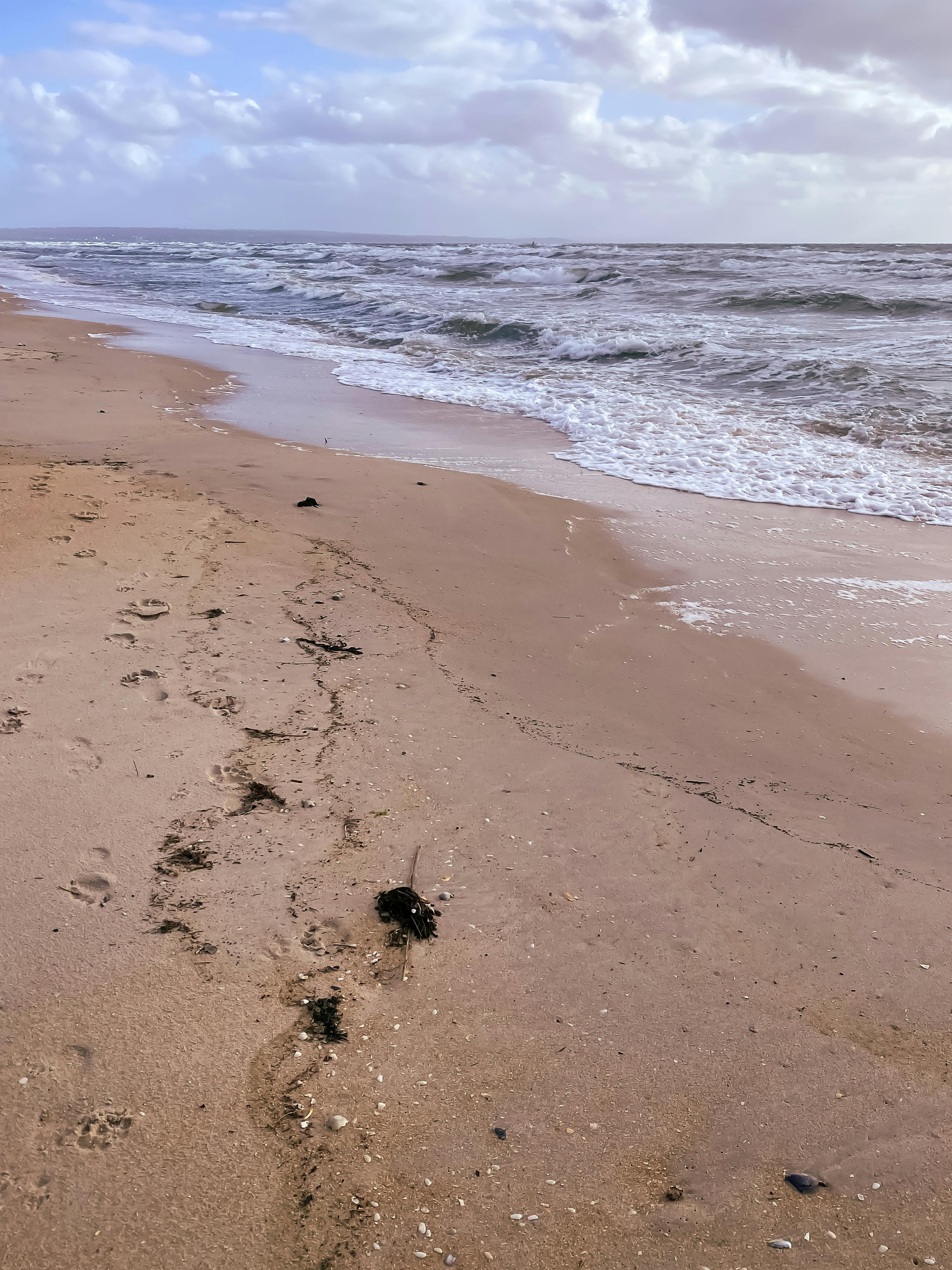 Footsteps · Free Stock Photo