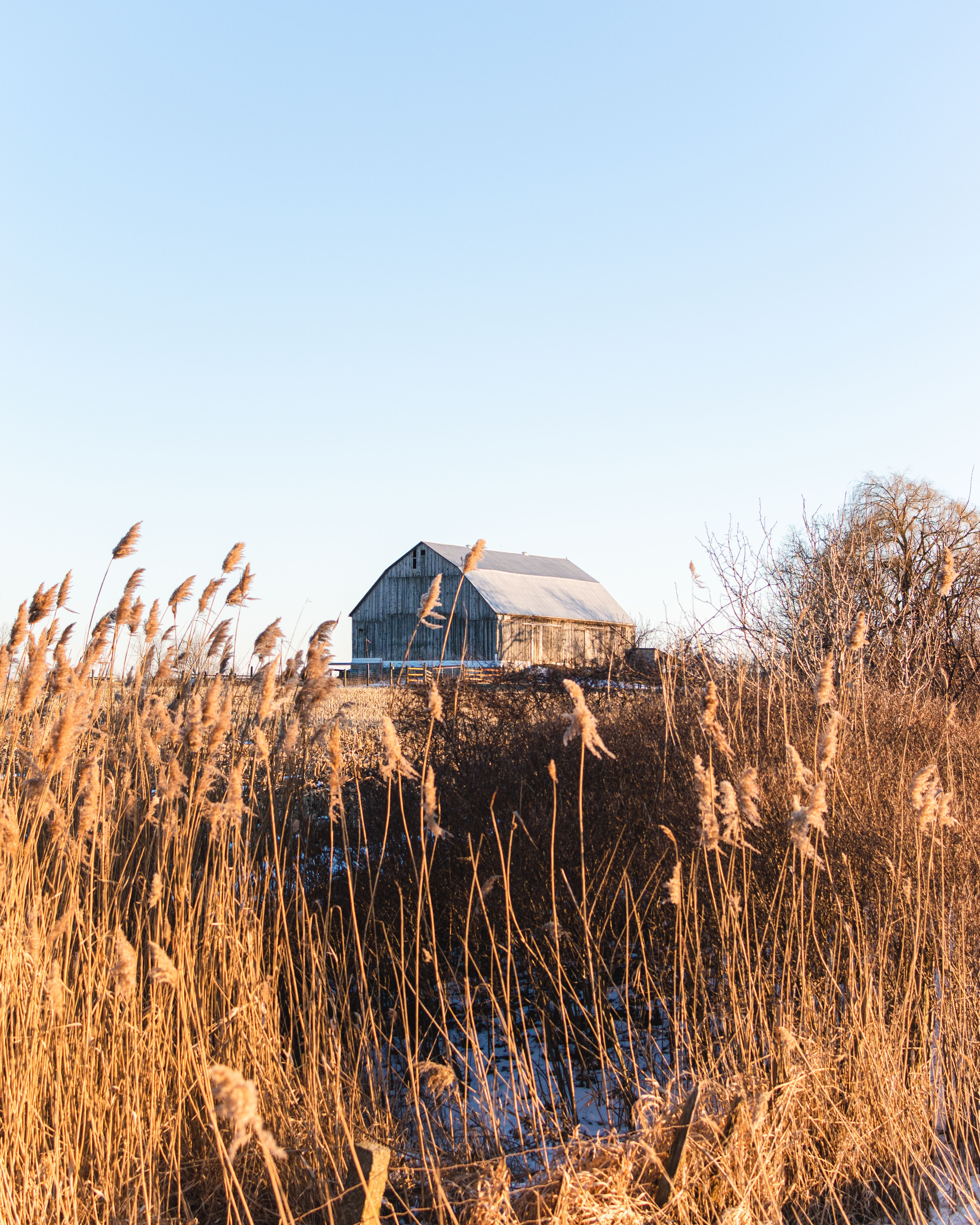 Autumn Barn Photos, Download The BEST Free Autumn Barn Stock Photos ...