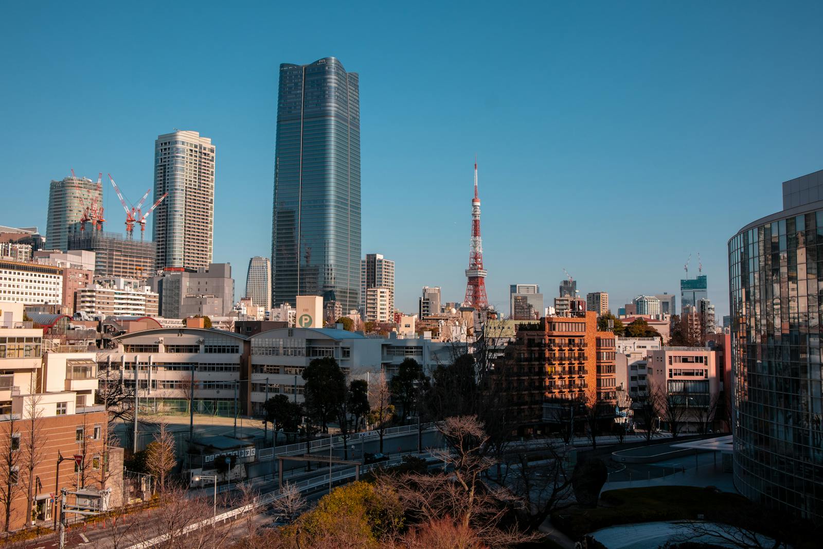 Tokyo City Photos, Download The BEST Free Tokyo City Stock Photos & HD ...