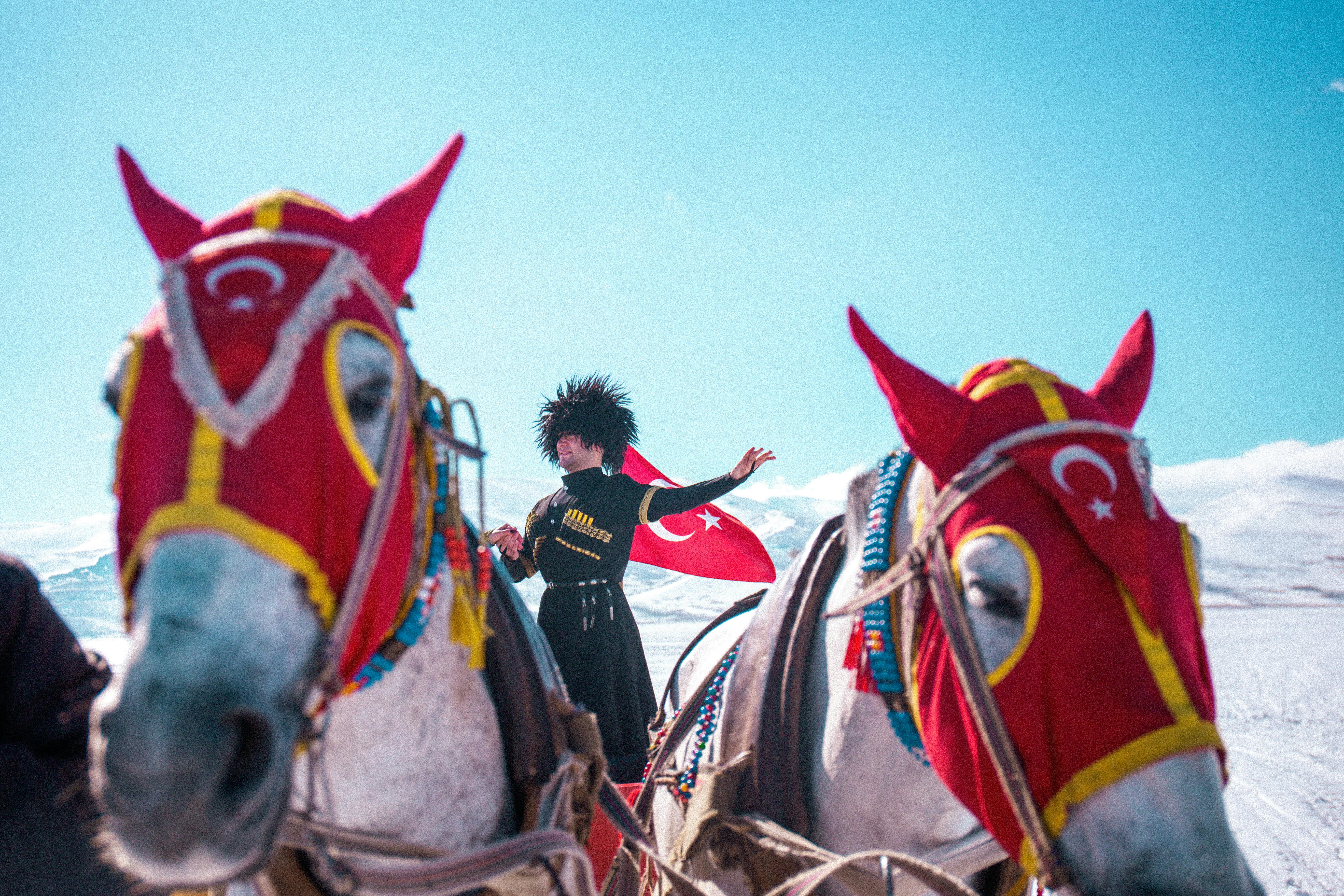 Ücretsiz adam, asya, at dekorasyonu, atlar, atlı, atlı geçit töreni ...