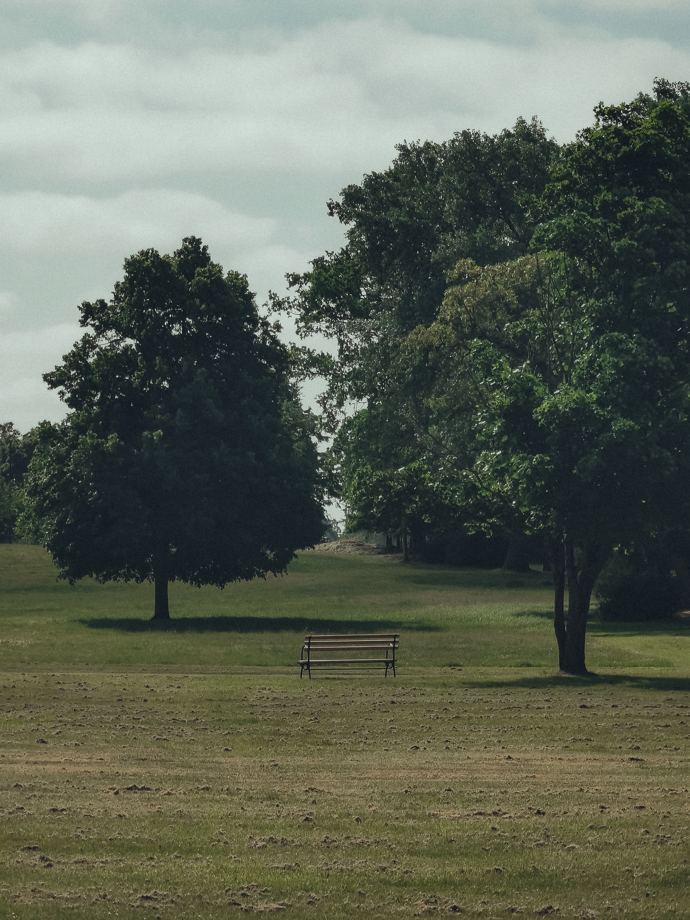Bench among Trees in Countryside · Free Stock Photo