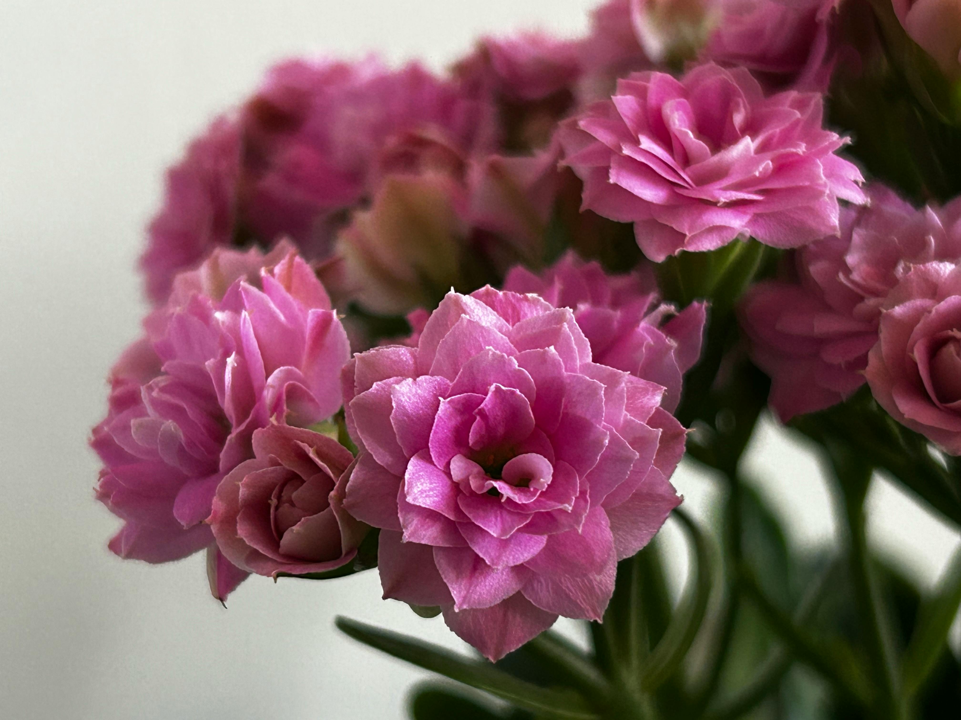 Catherine Huang - Photography