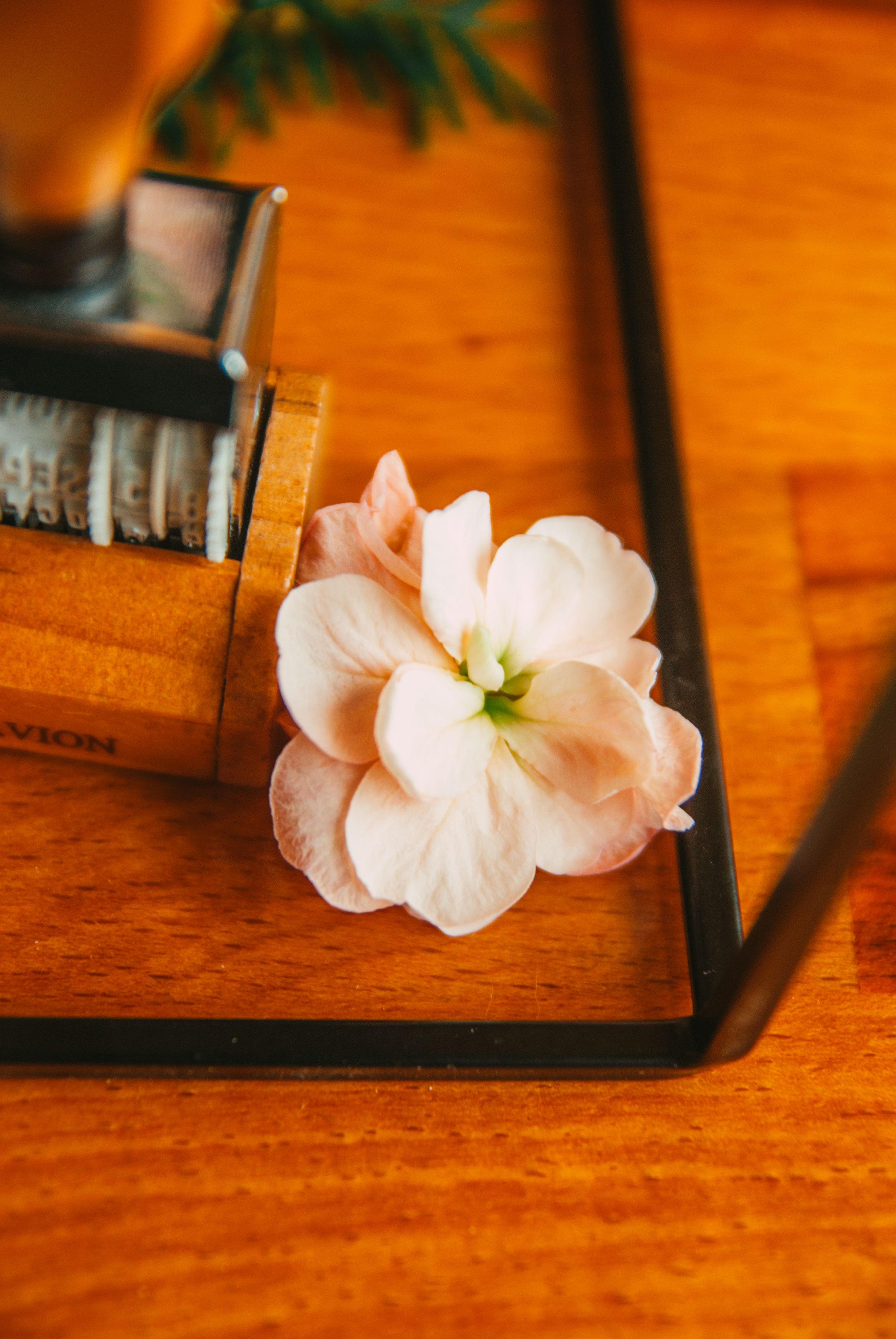 Bamboo Zen Photos, Download The BEST Free Bamboo Zen Stock Photos & HD ...
