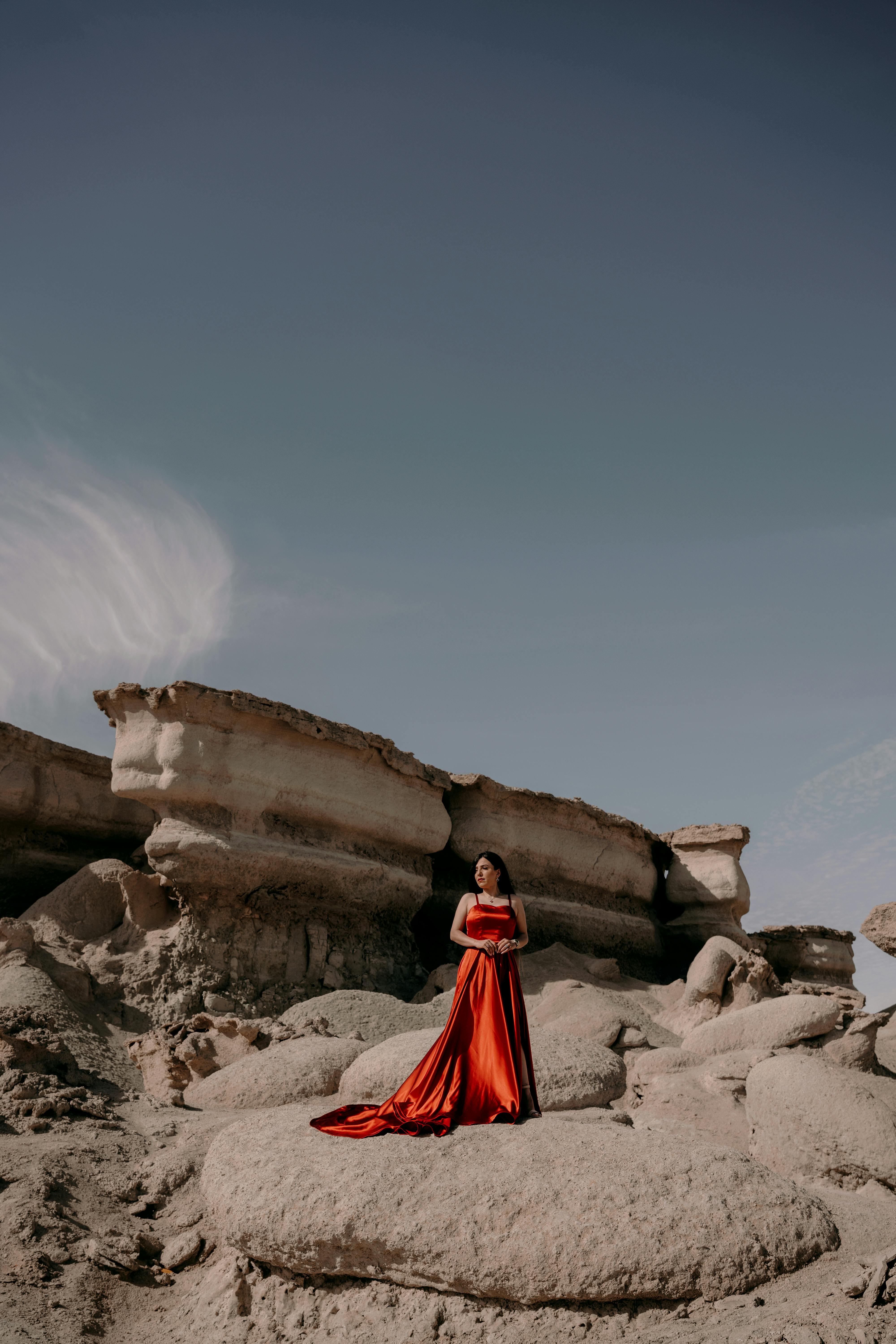 Amir Habibi - 写真