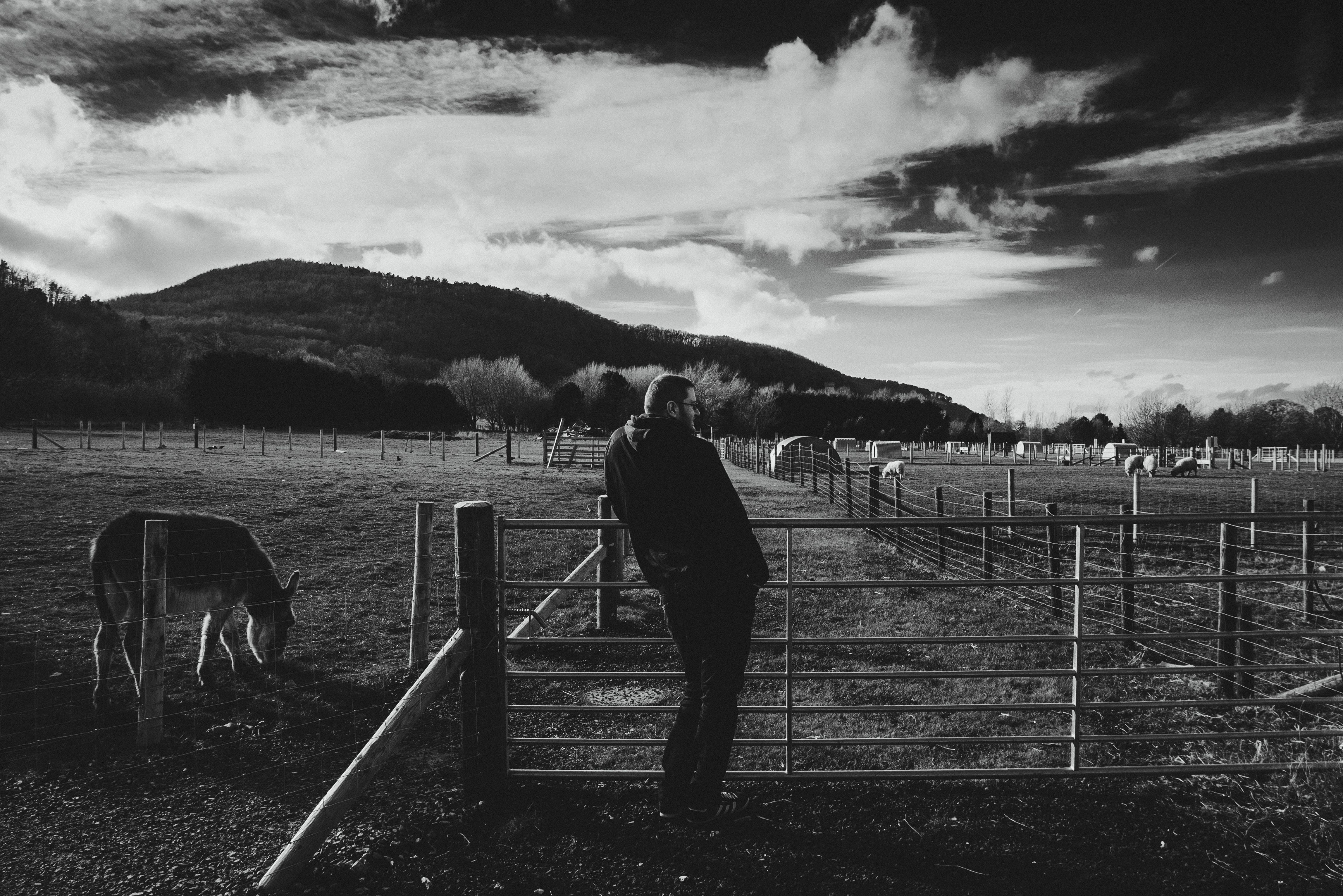 Man Leaning on Fence · Free Stock Photo