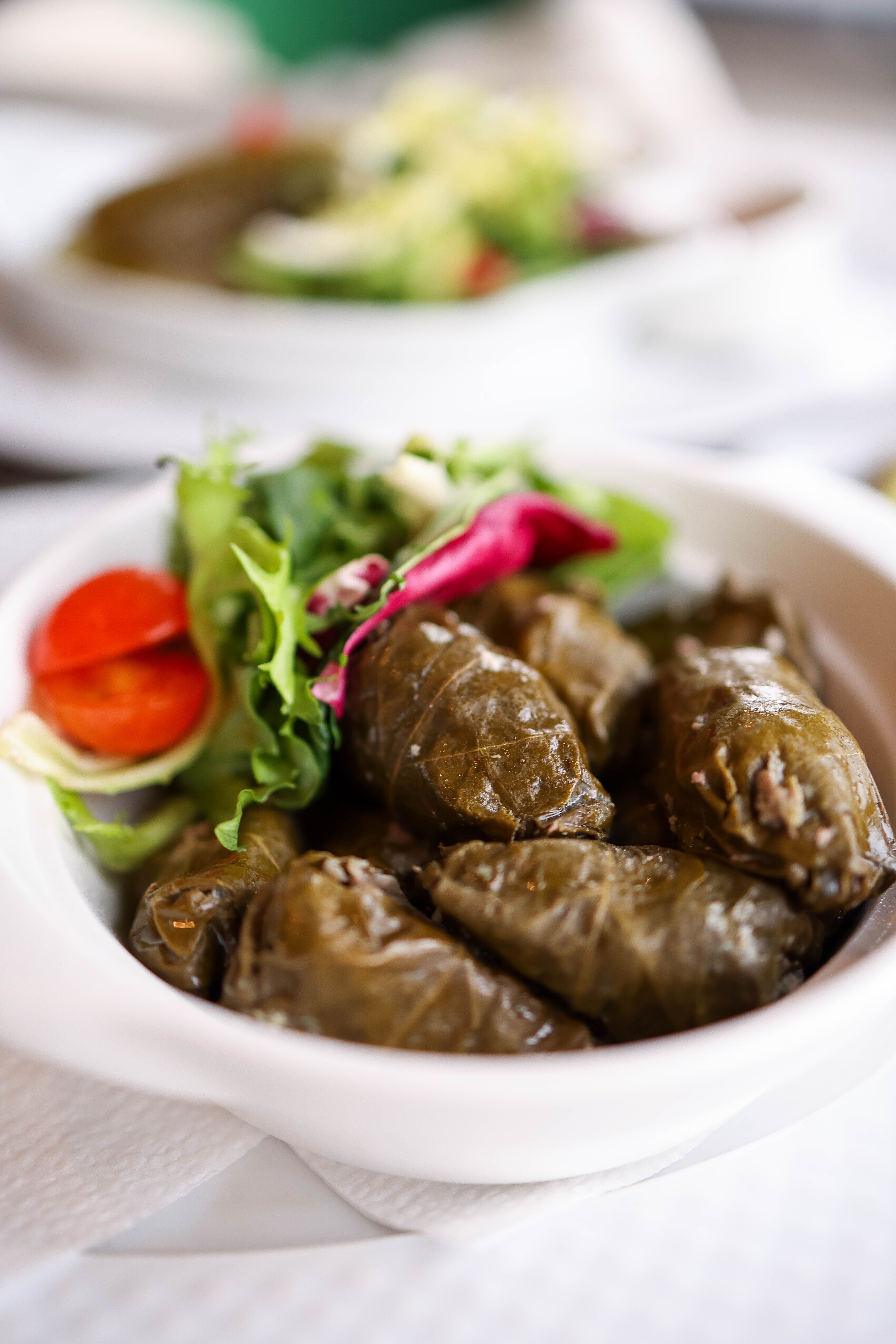 Oriental Dolma with Vegetables in Bowl · Free Stock Photo
