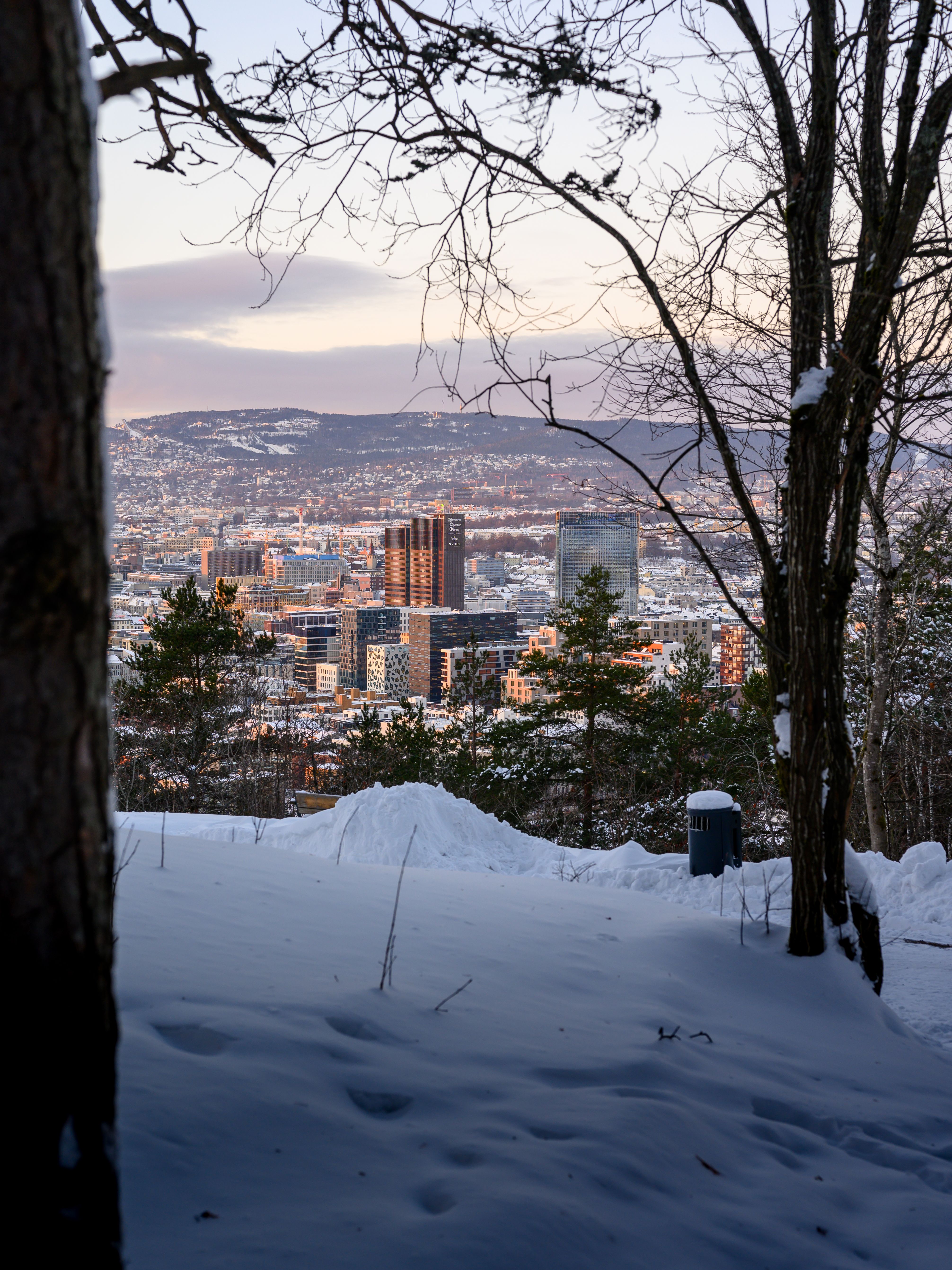 Cityscape of Oslo in Winter · Free Stock Photo
