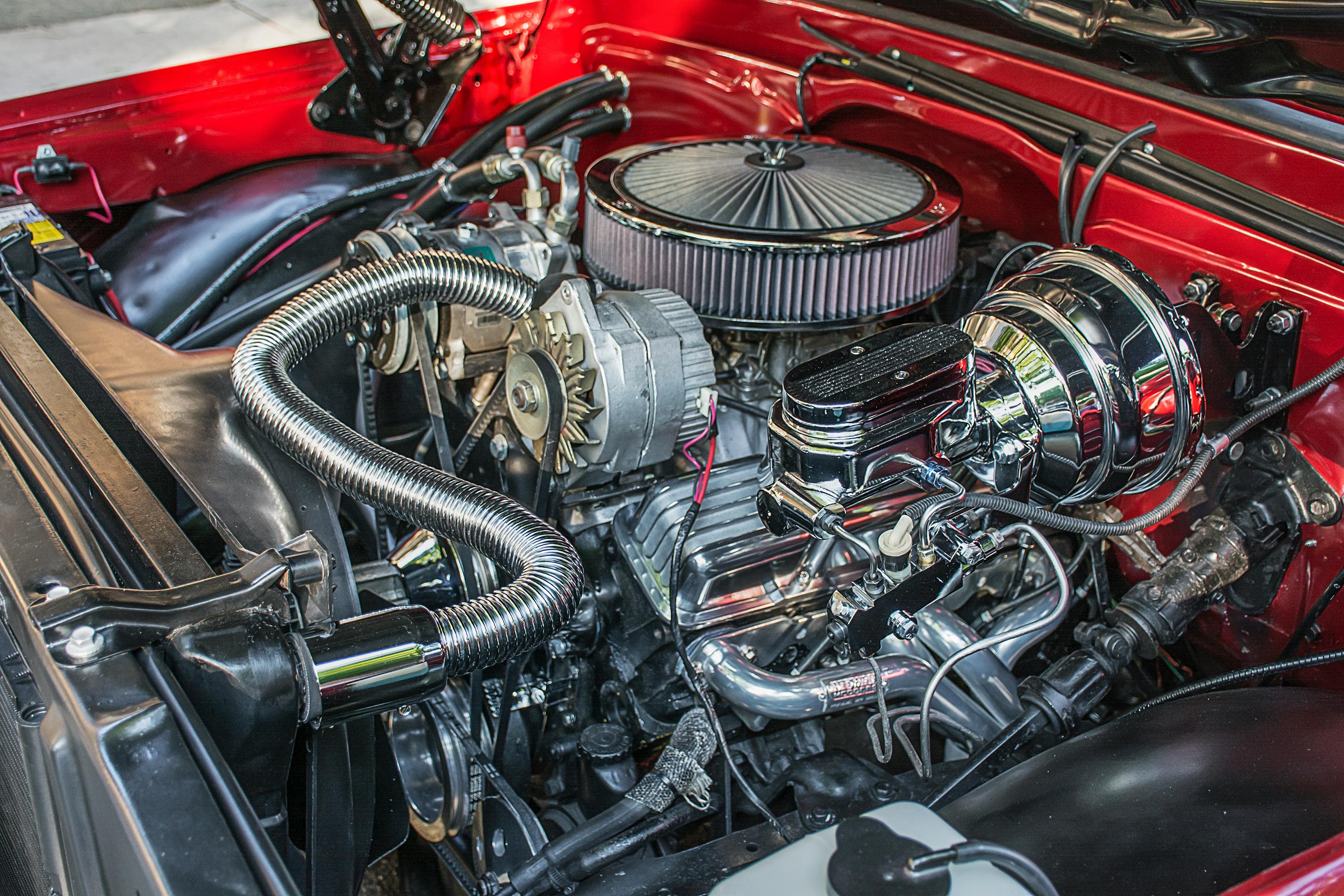 Silver Starlets Violette Photos, Download The BEST Free Silver Starlets ...