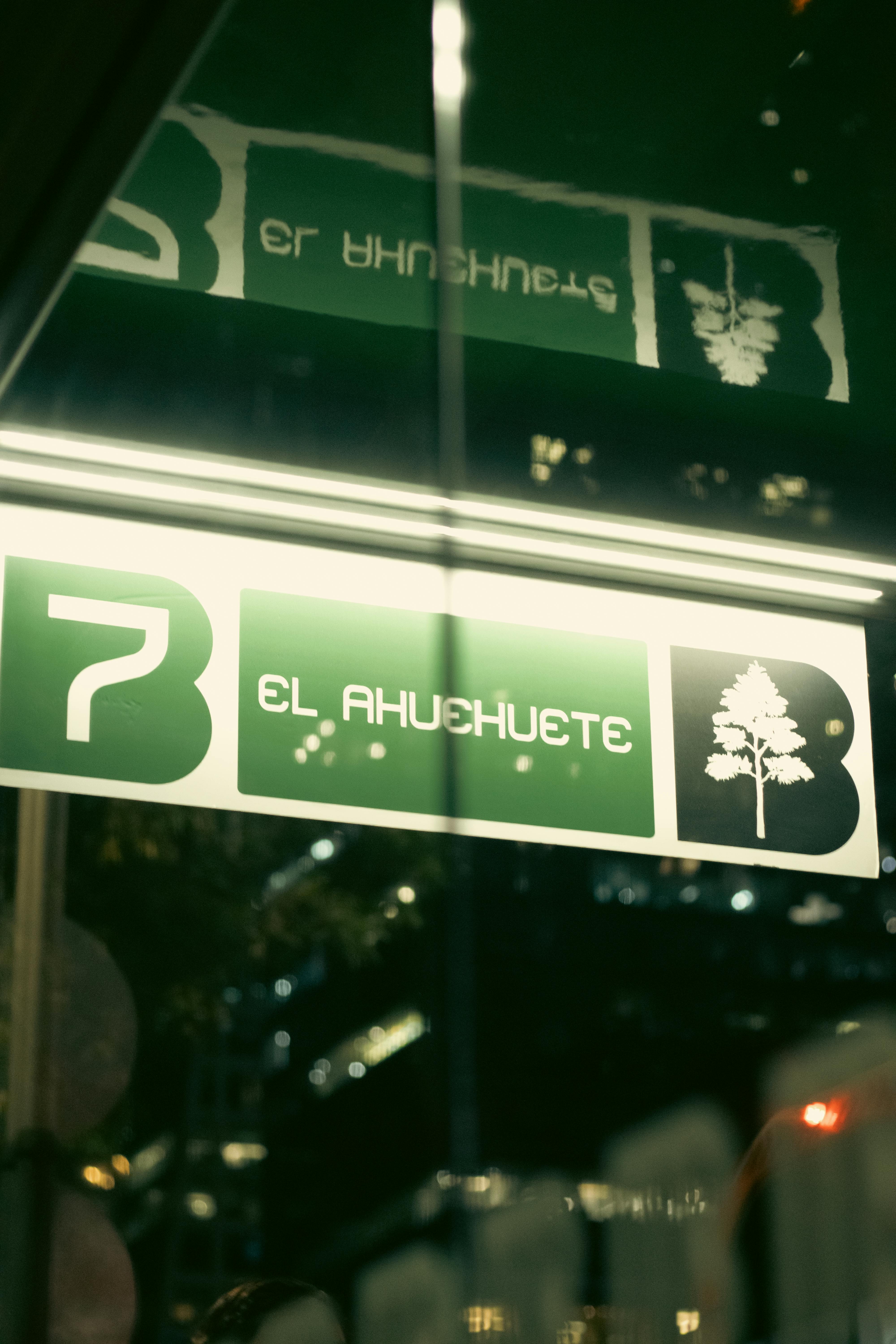 El Ahuehuete · Foto de stock gratuita