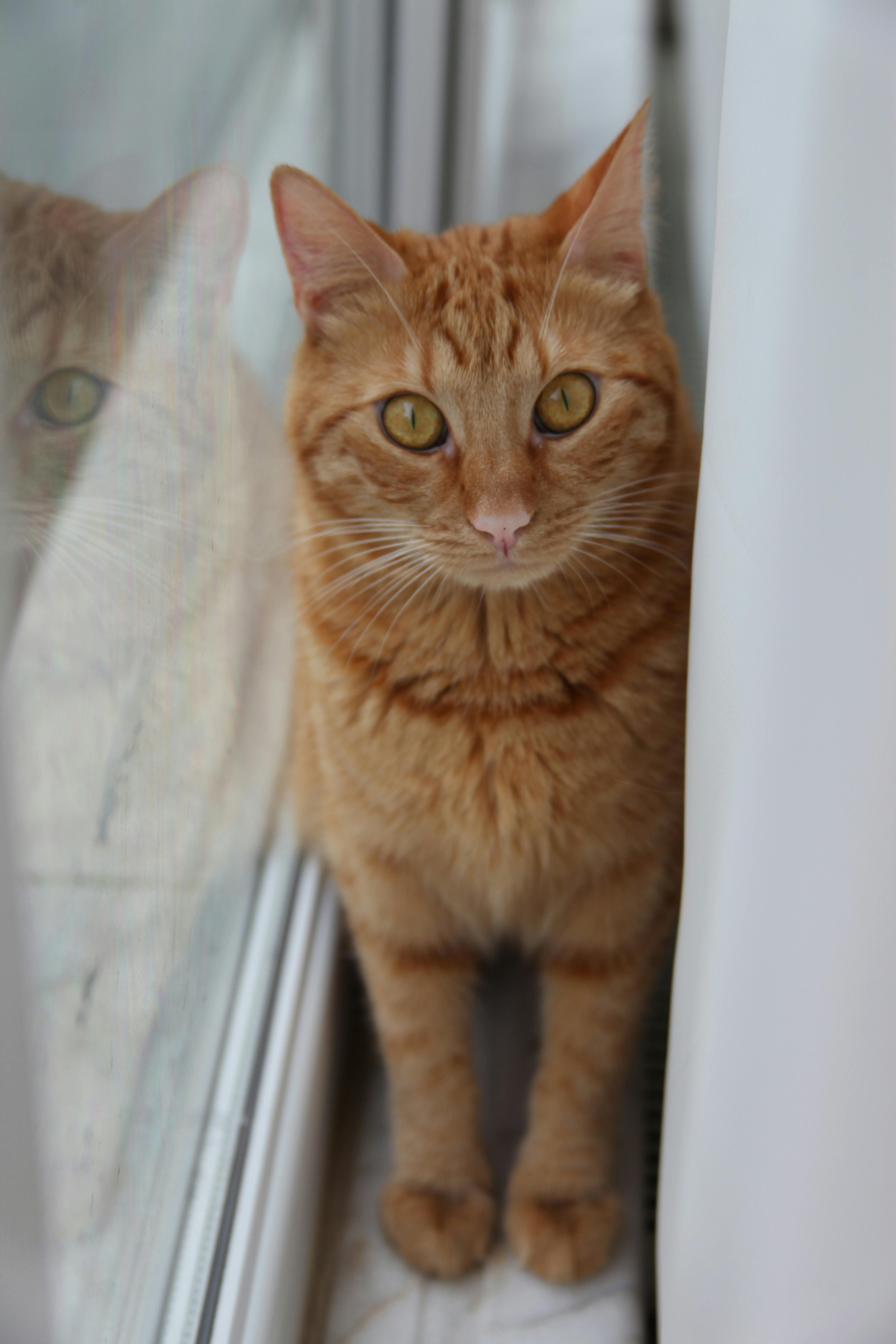 Cute Windows Wallpaper Photos, Download The BEST Free Cute Windows ...