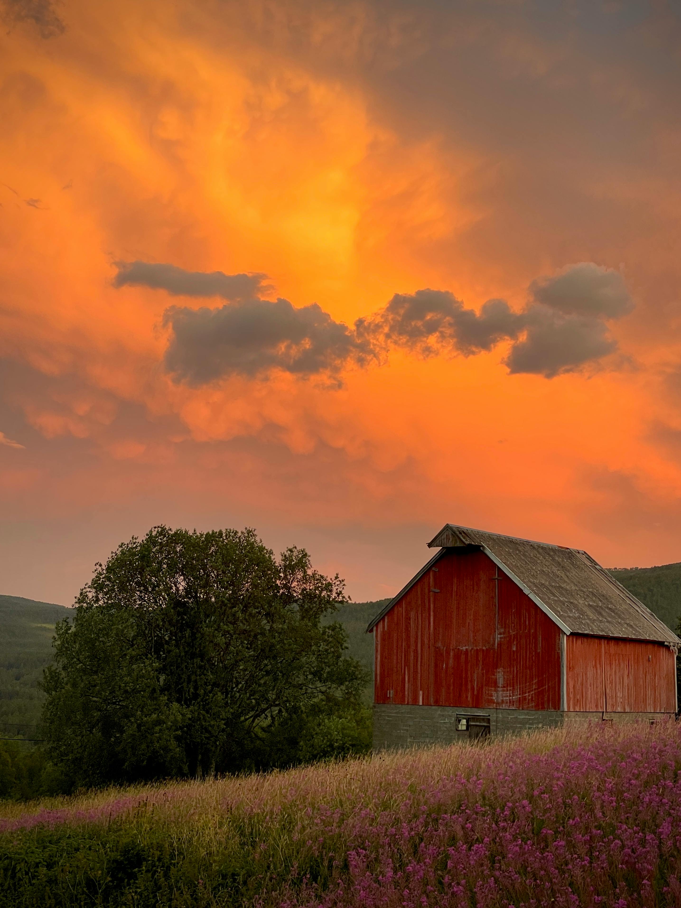 Yellow Sky over Tree and Barn in Countryside at Sunset · Free Stock Photo