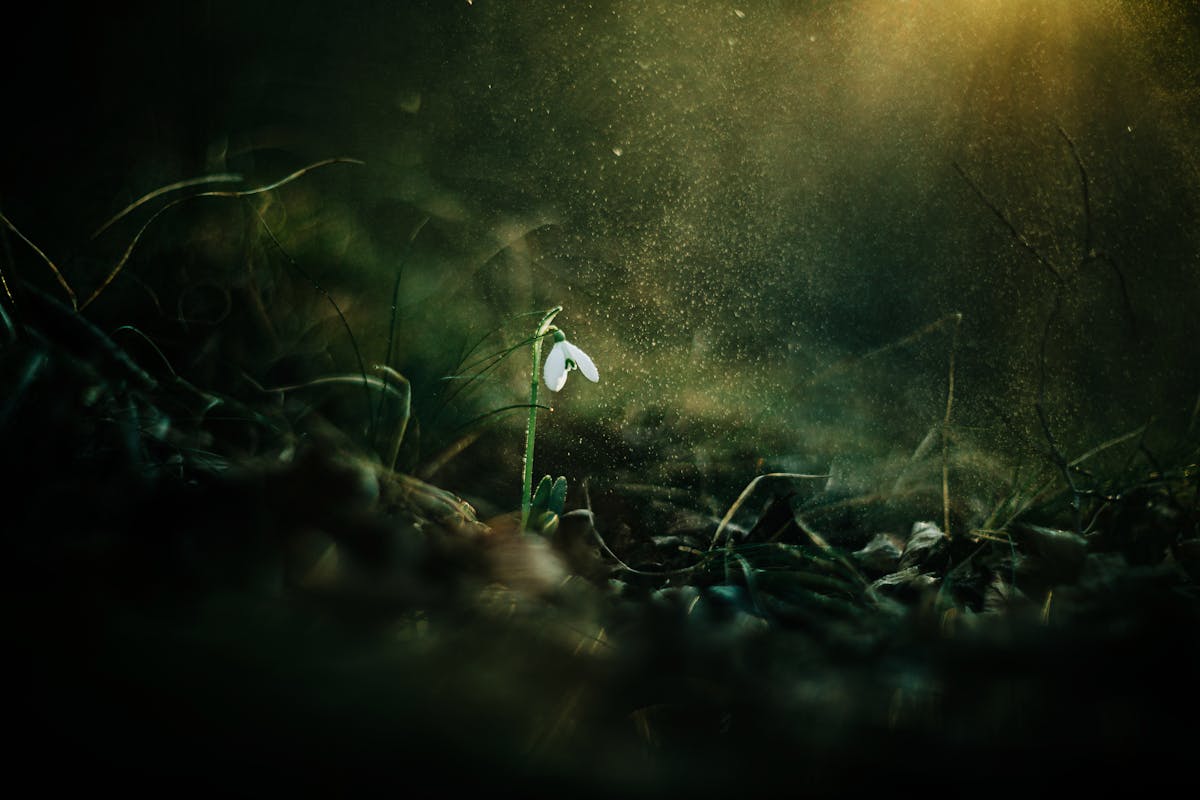 Rain Under 2mb Photos, Download The BEST Free Rain Under 2mb Stock ...