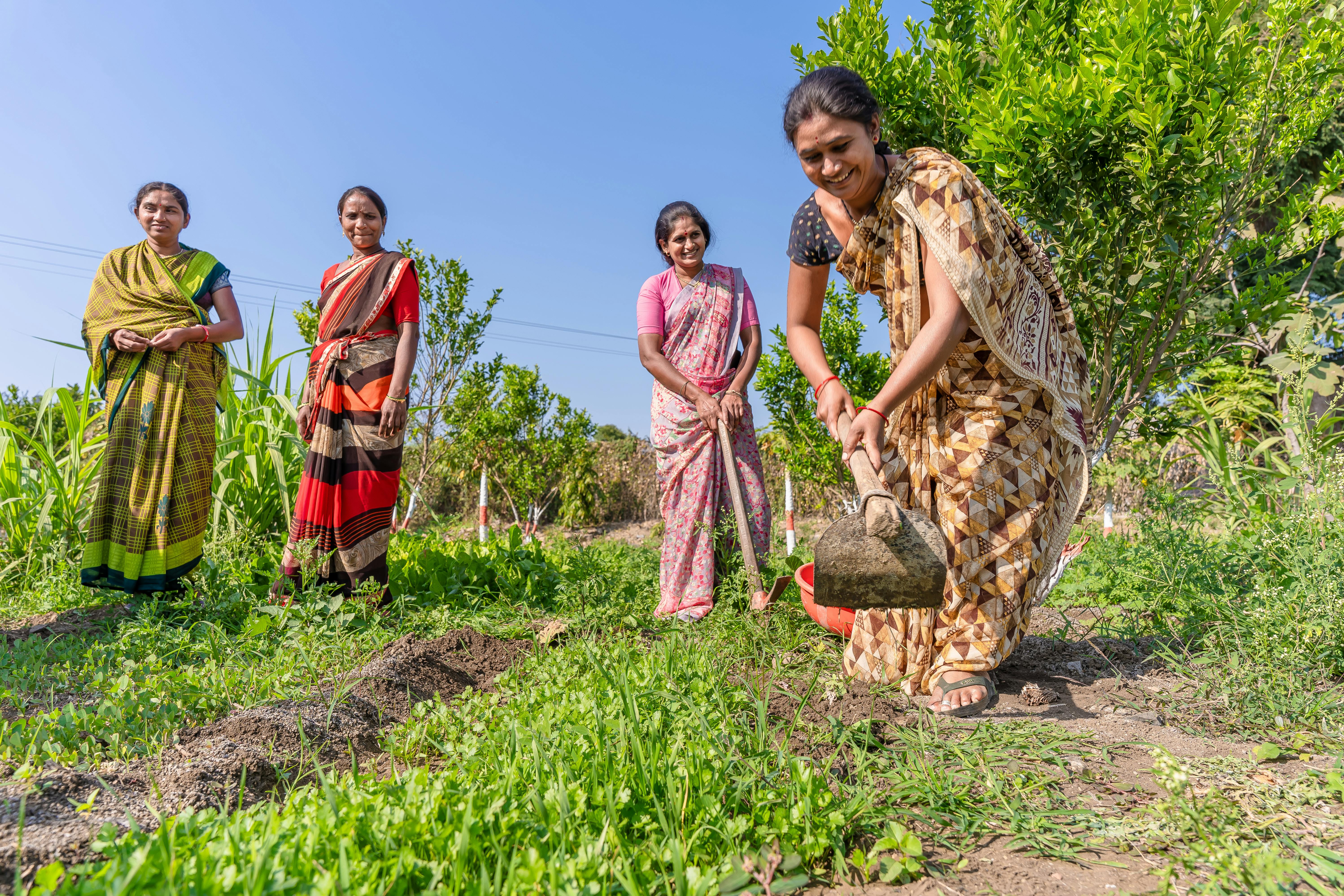 Farmers in India · Free Stock Photo