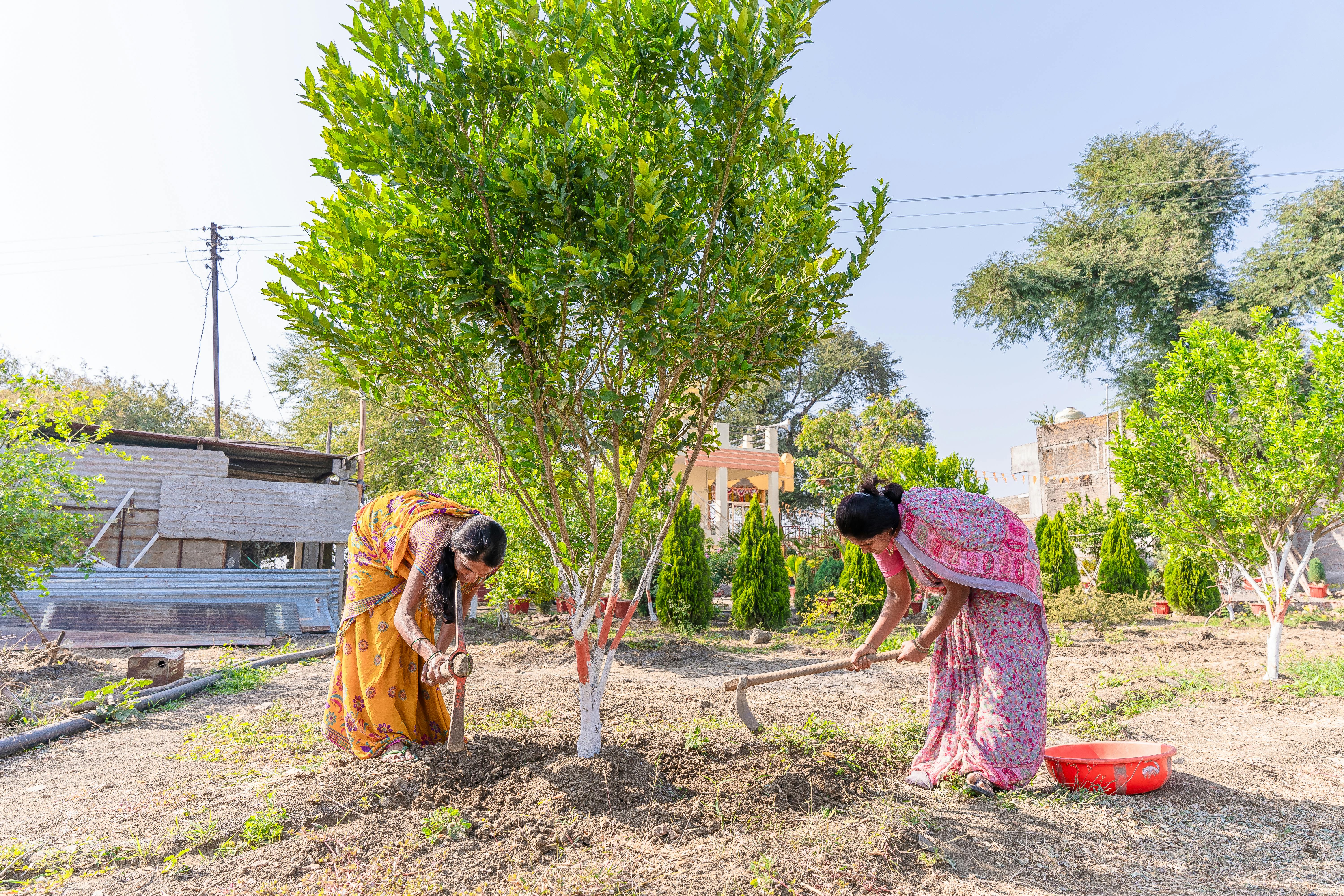 Farmers in India · Free Stock Photo