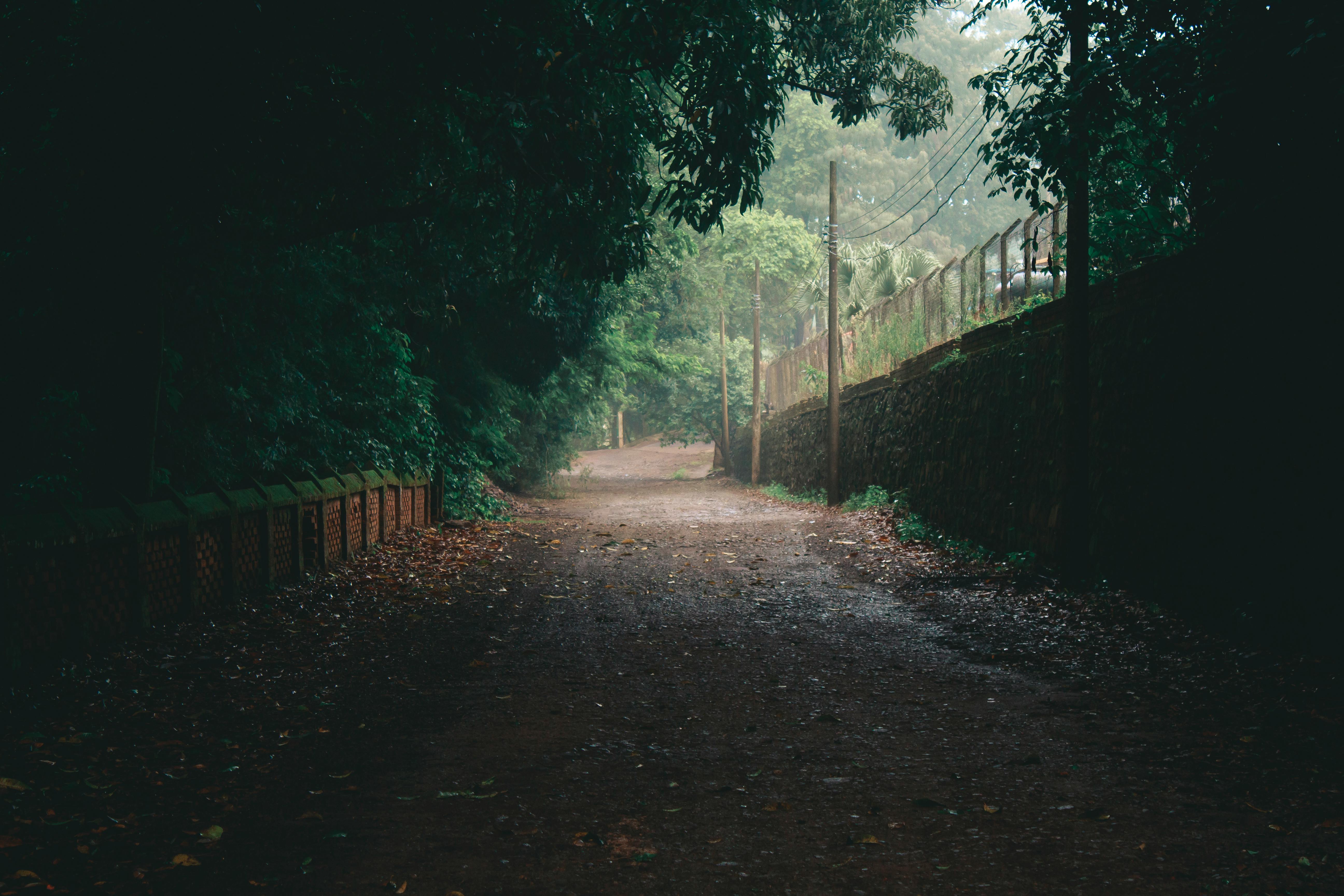 Daniel Borges - Photography