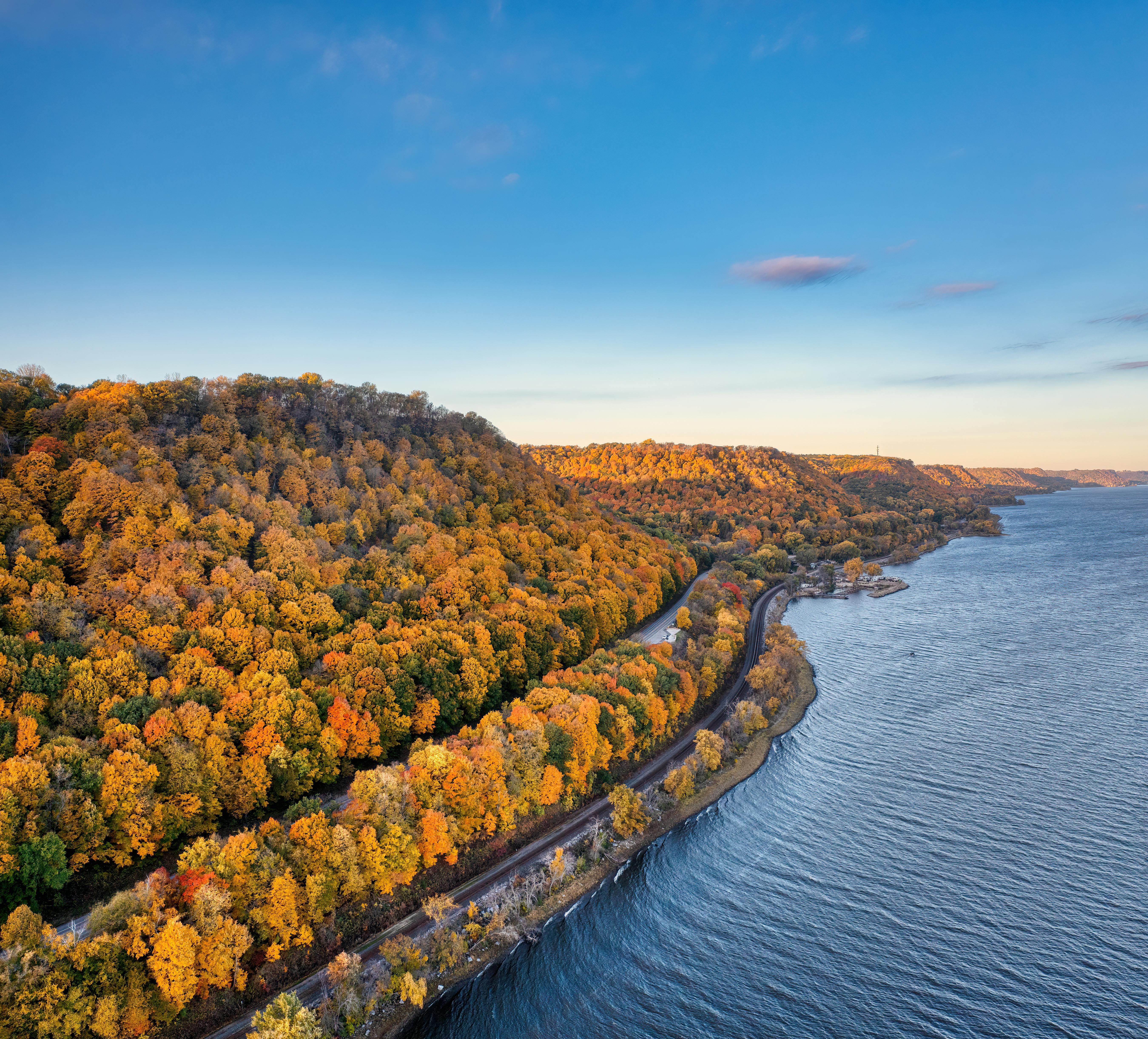 Man Holding Maple Leaf In The Middle Of Train Tracks During Day · Free ...