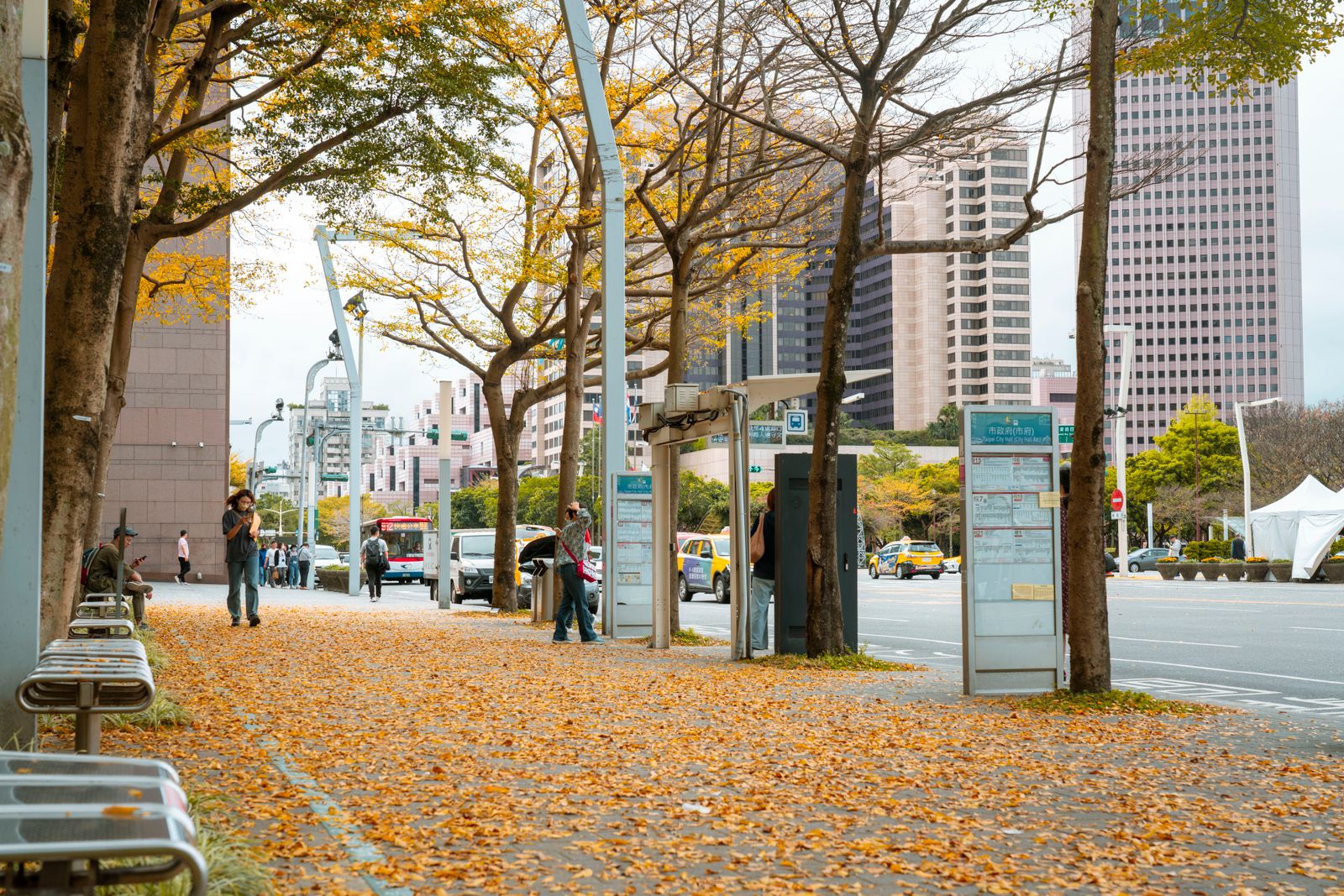 Fall City Photos, Download The BEST Free Fall City Stock Photos & HD Images