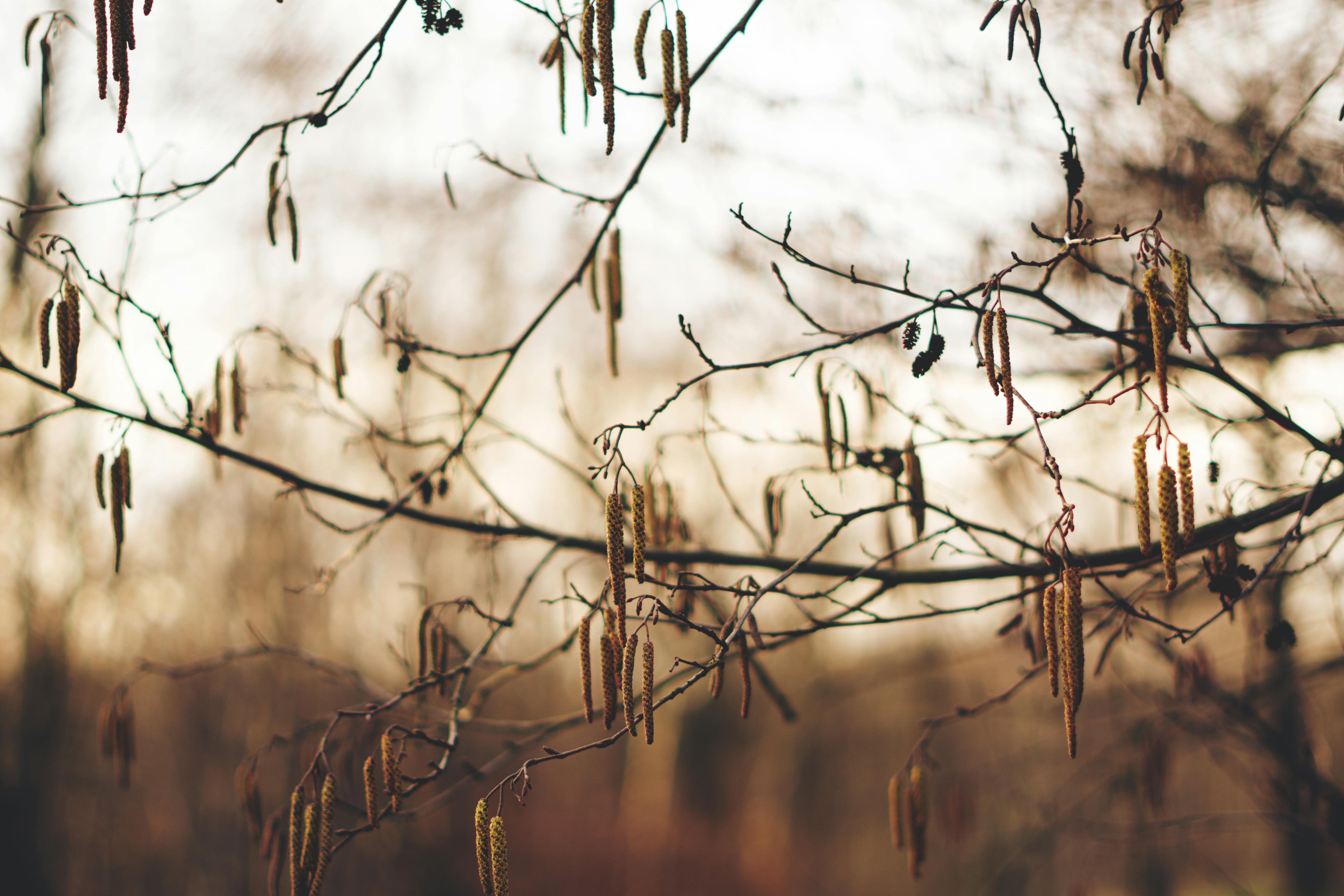 Awakening To Truth Photos, Download The BEST Free Awakening To Truth ...