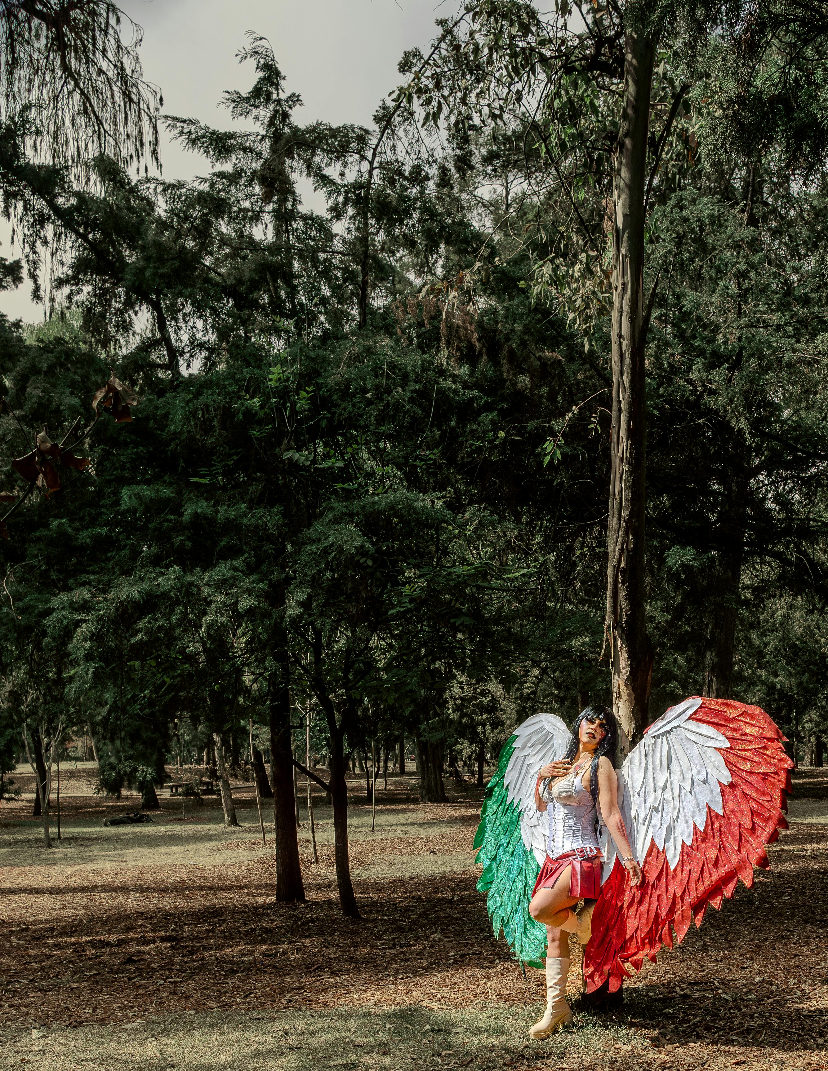 Red Themed Photo Photos, Download The BEST Free Red Themed Photo Stock ...