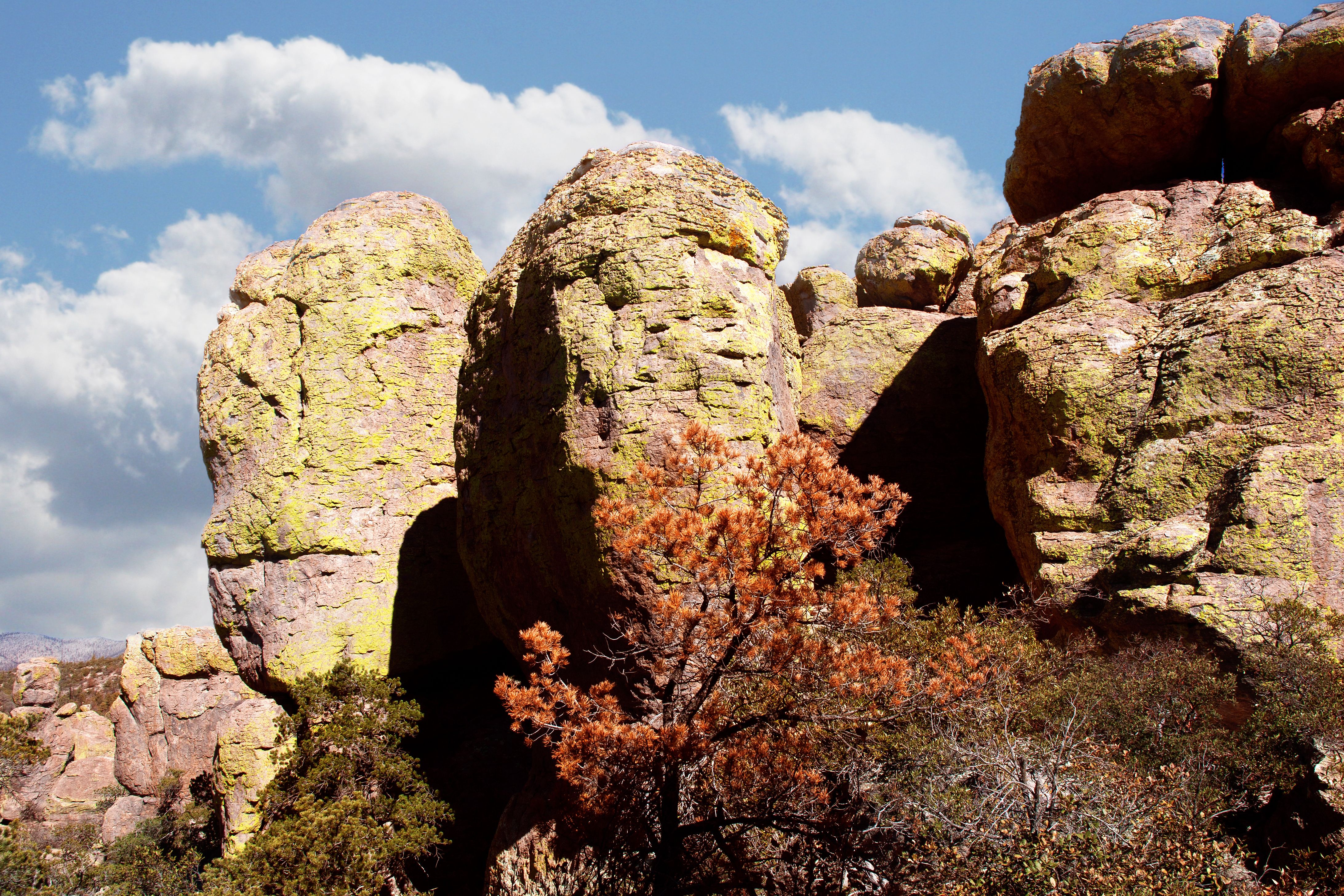 Rock Formations over Trees in Canyon · Free Stock Photo