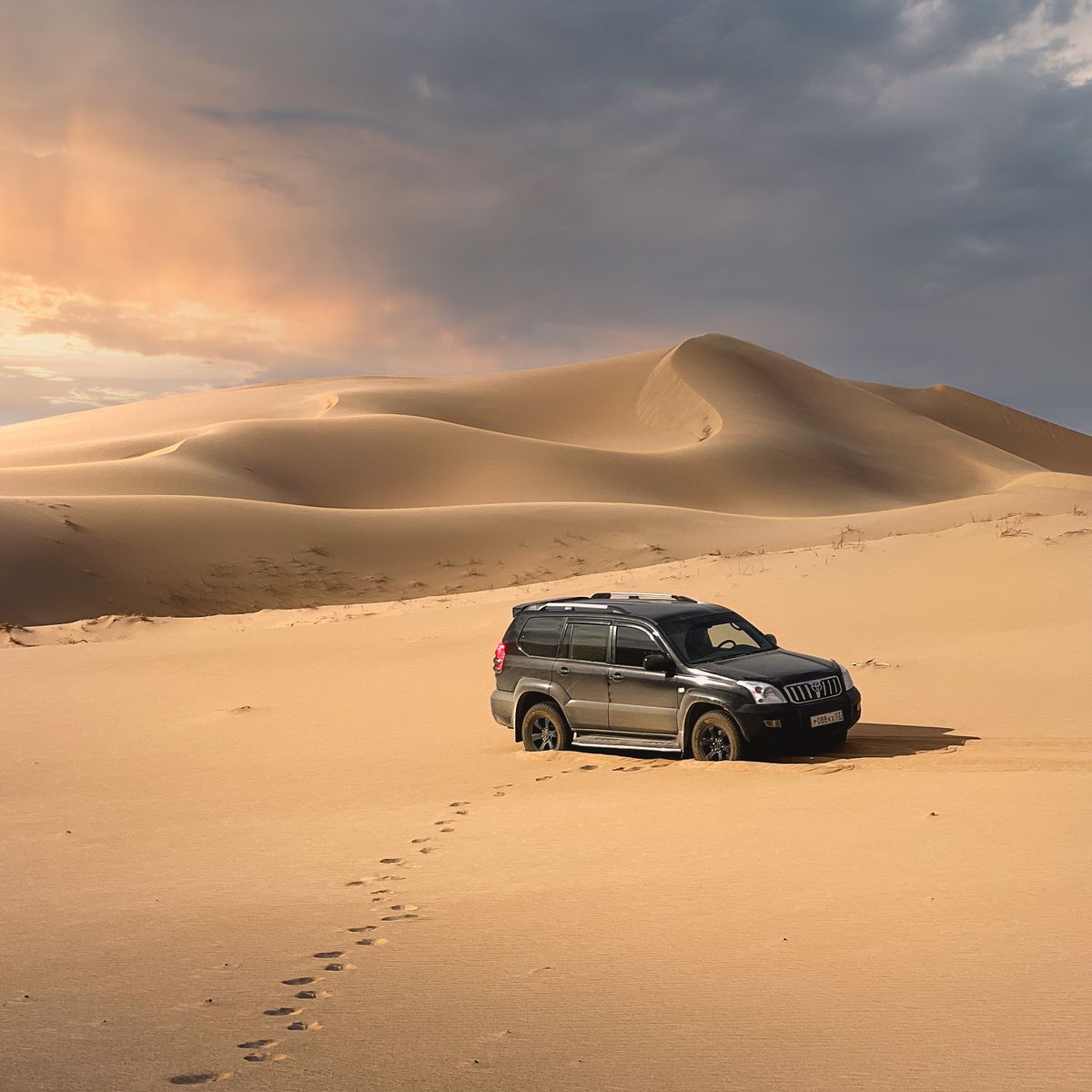 Prado Photos, Download The BEST Free Prado Stock Photos & HD Images