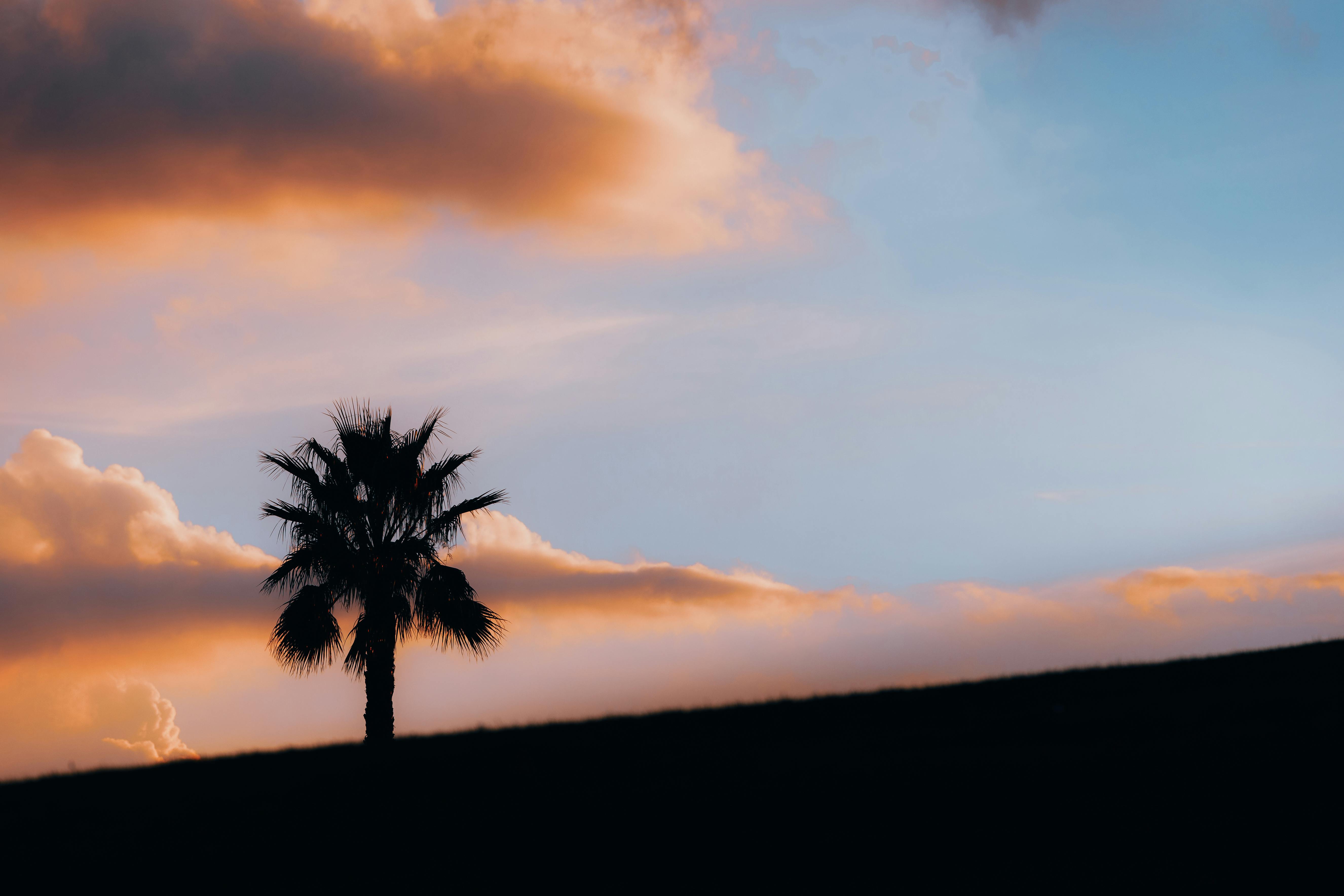 Cinematic Summer Photos, Download The BEST Free Cinematic Summer Stock ...