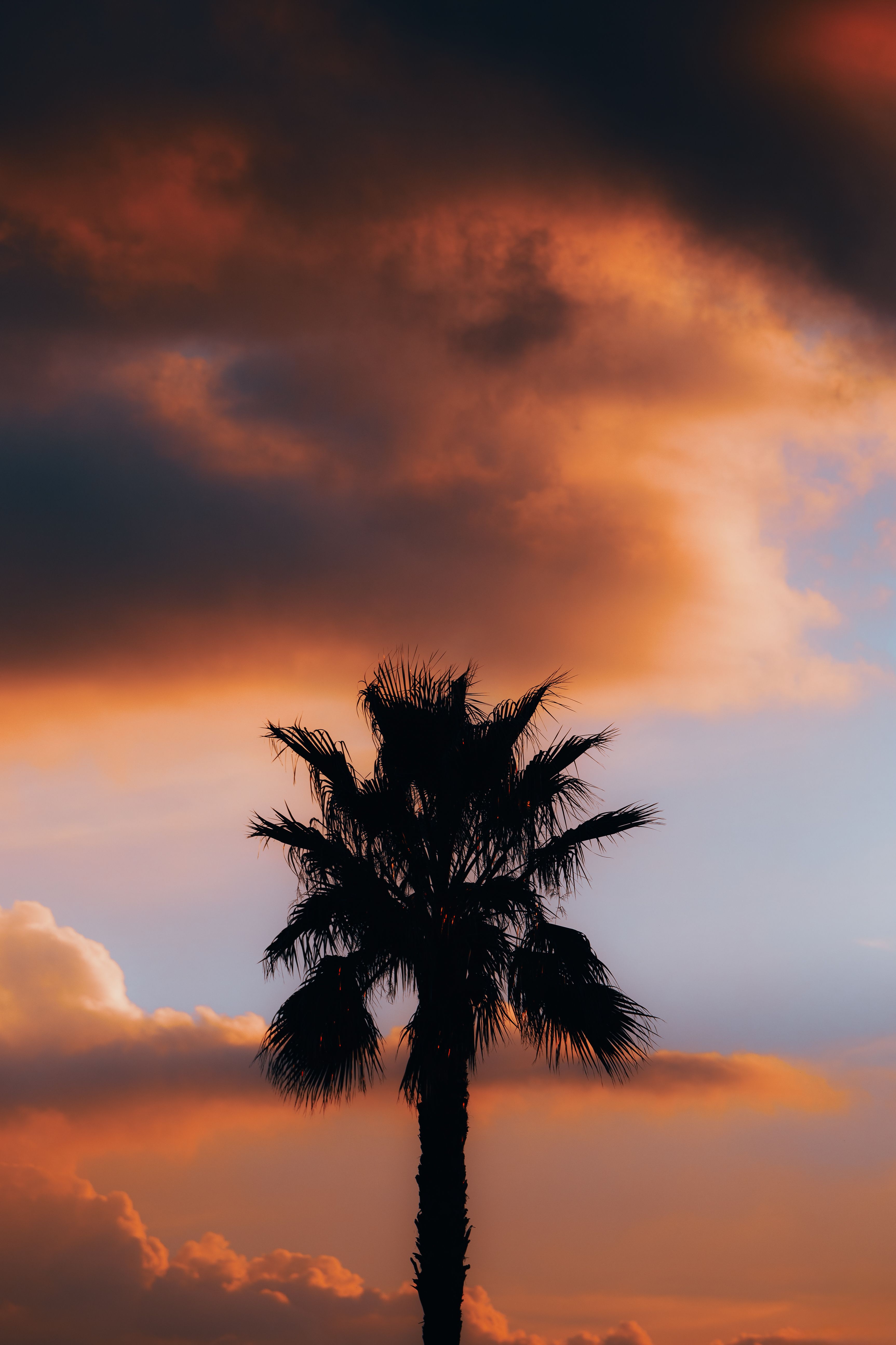 Cinematic Summer Photos, Download The BEST Free Cinematic Summer Stock ...