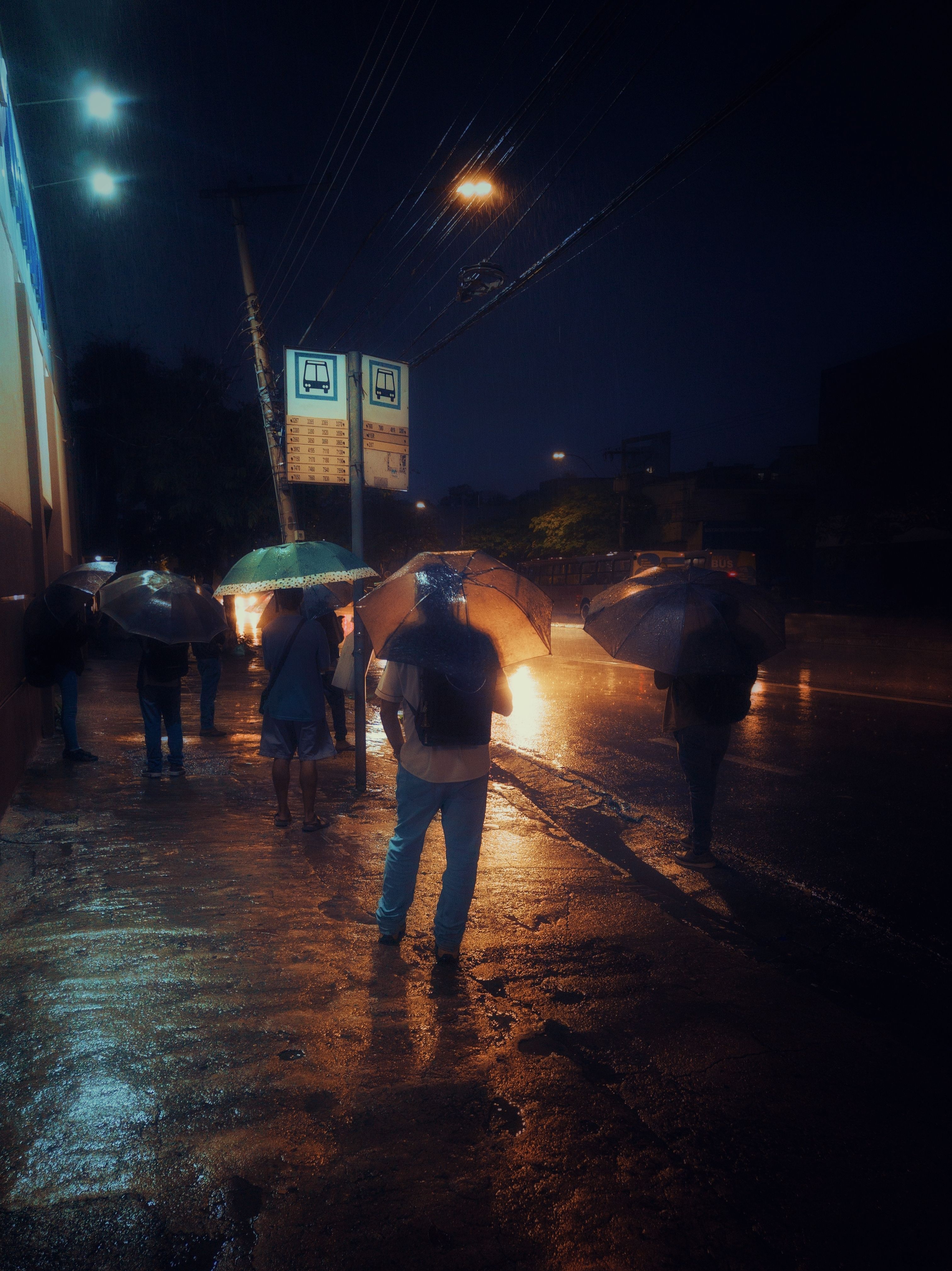 People Waiting on Bus Stop in Rain at Night · Free Stock Photo
