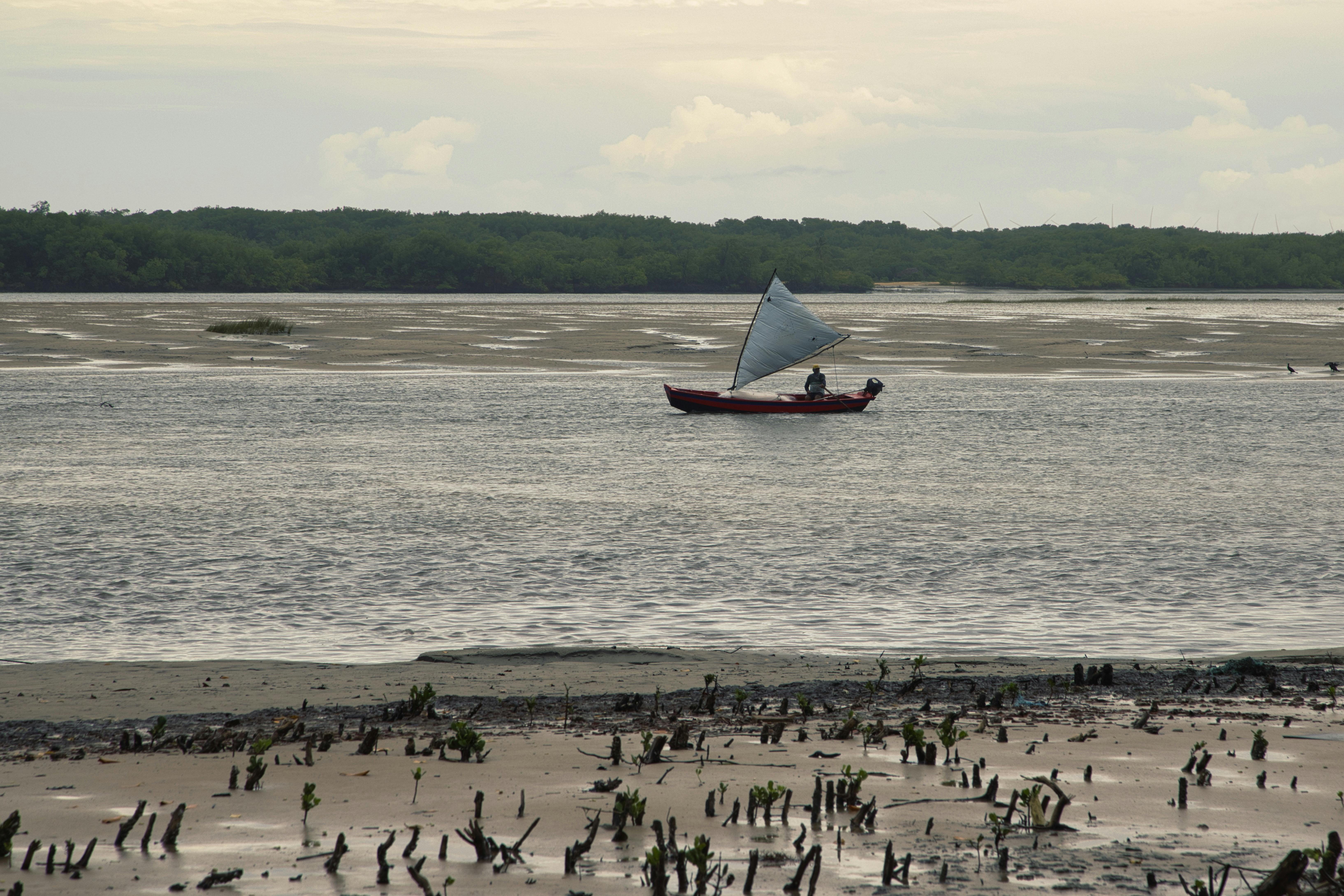 Triangular Sail Photos, Download The BEST Free Triangular Sail Stock ...