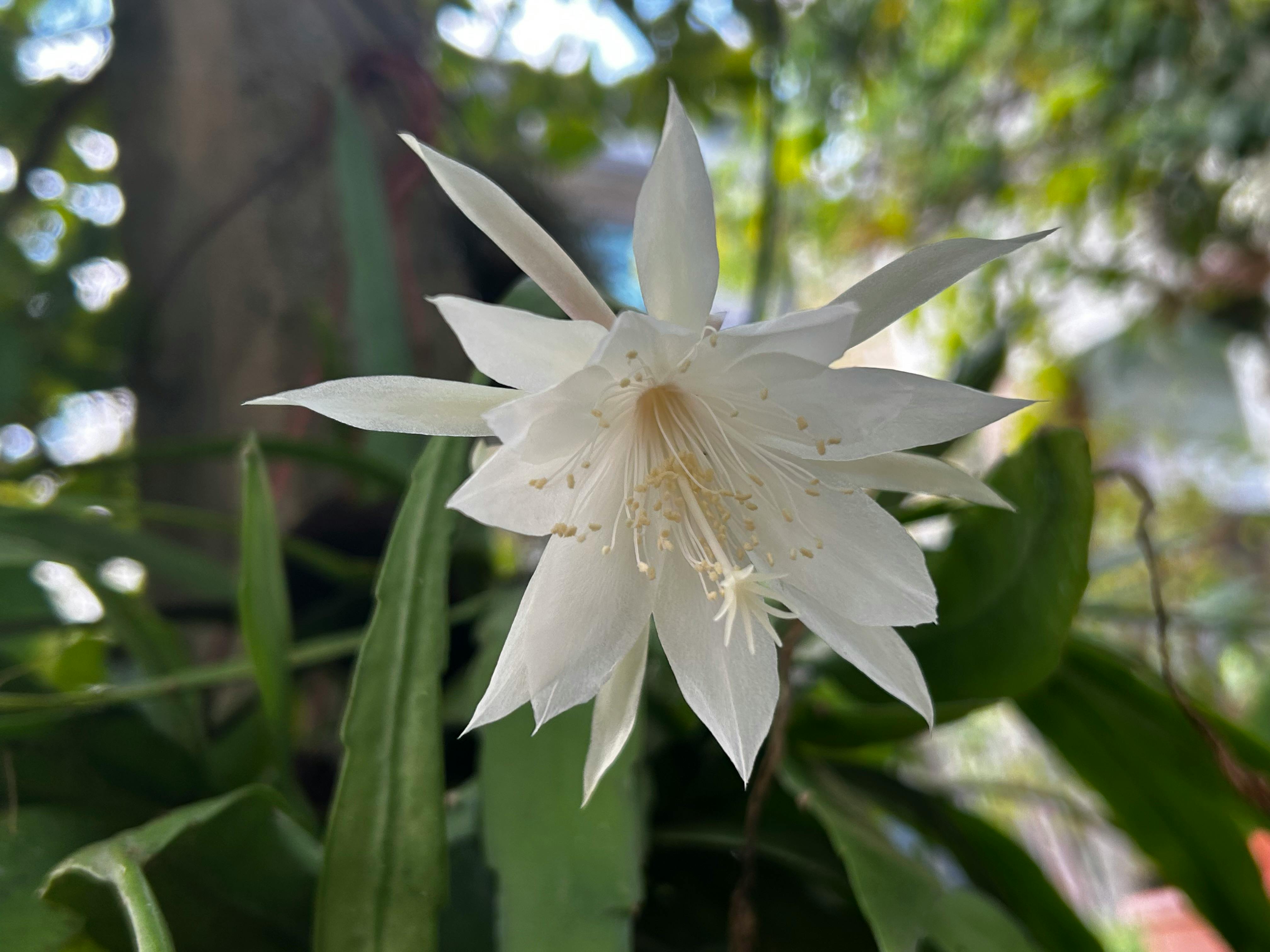 Catherine Huang - Photography