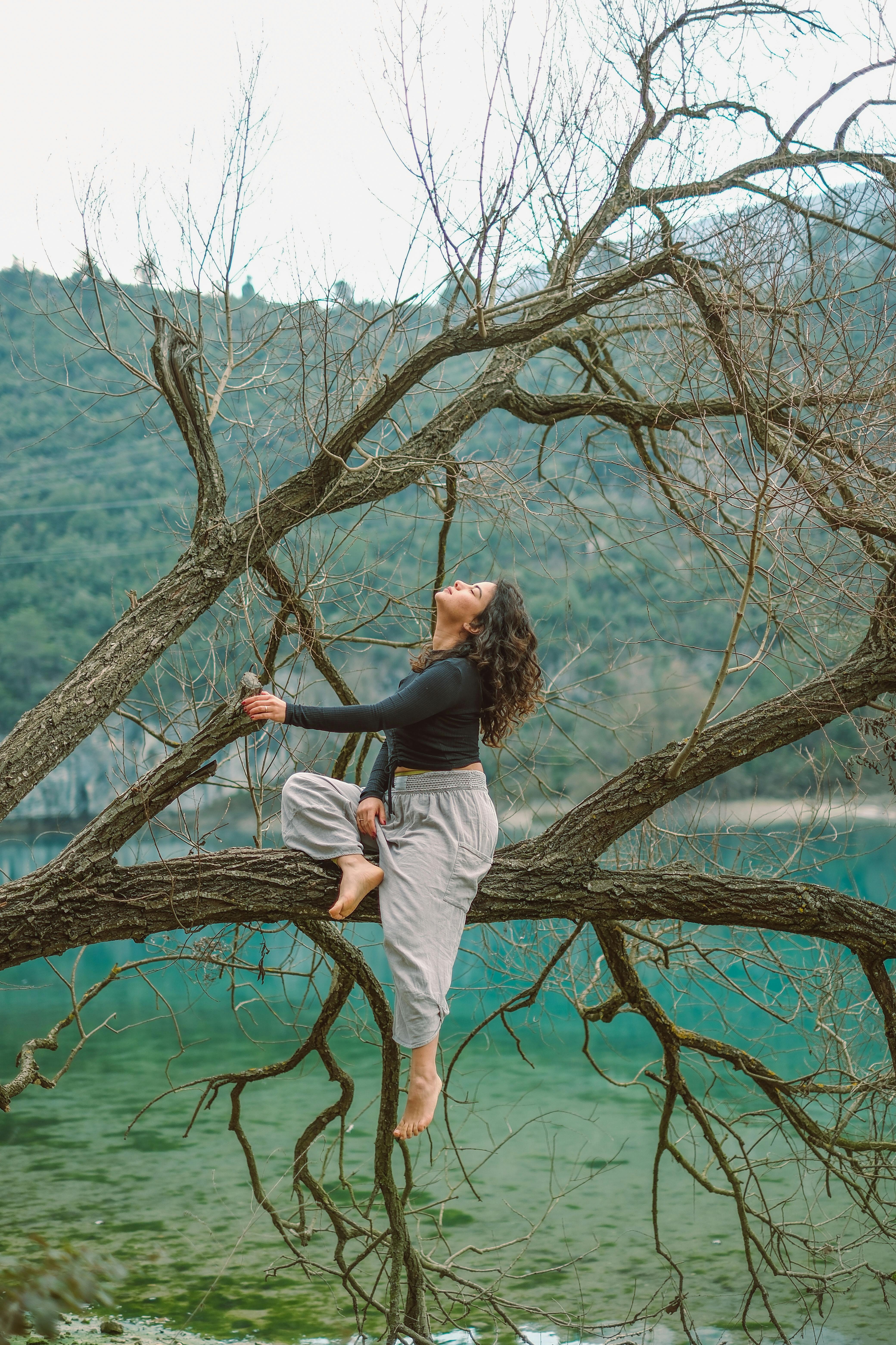 Woman Sitting on a Tree Hanging Over the Lake · Free Stock Photo