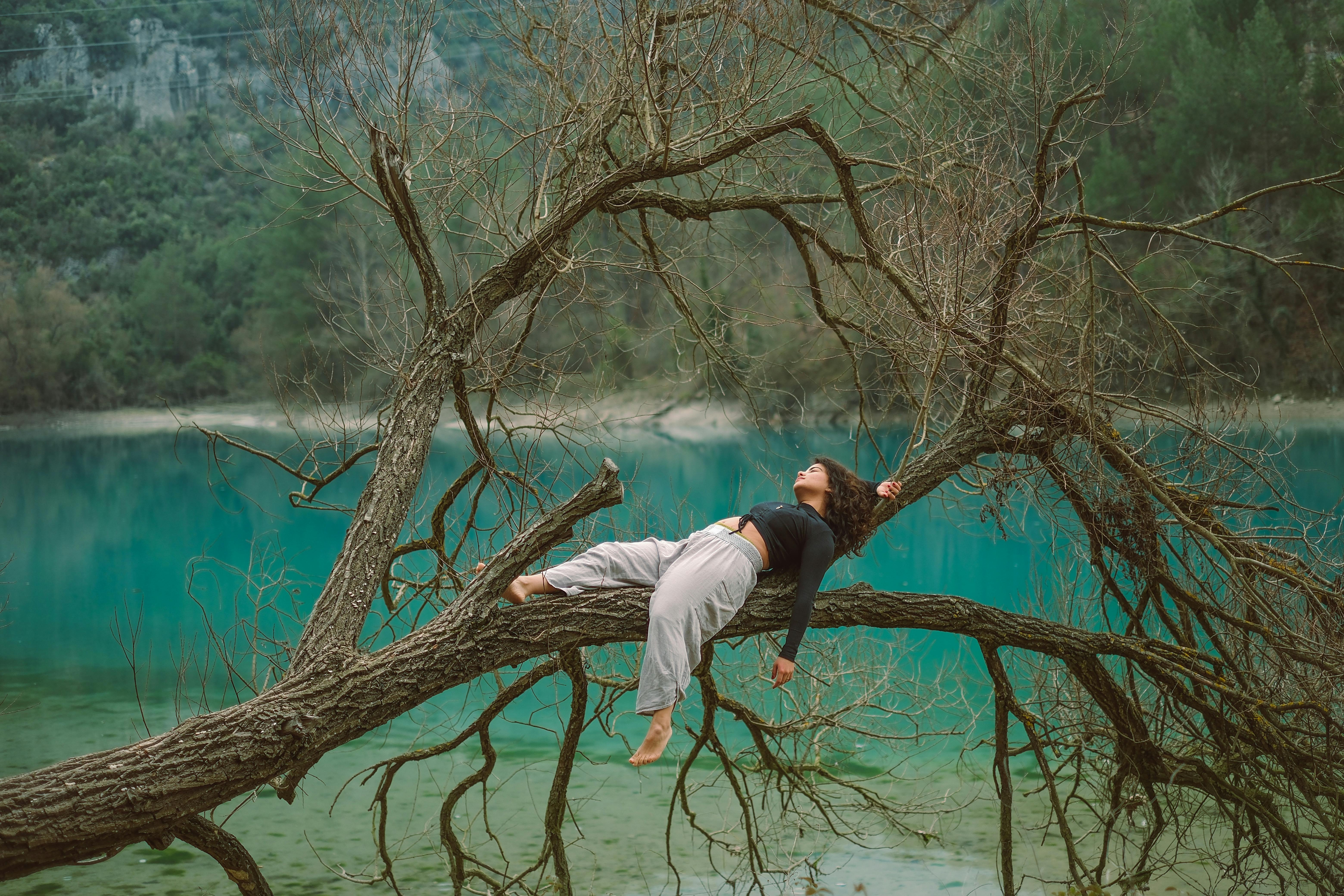 A woman laying on a tree branch near a lake · Free Stock Photo