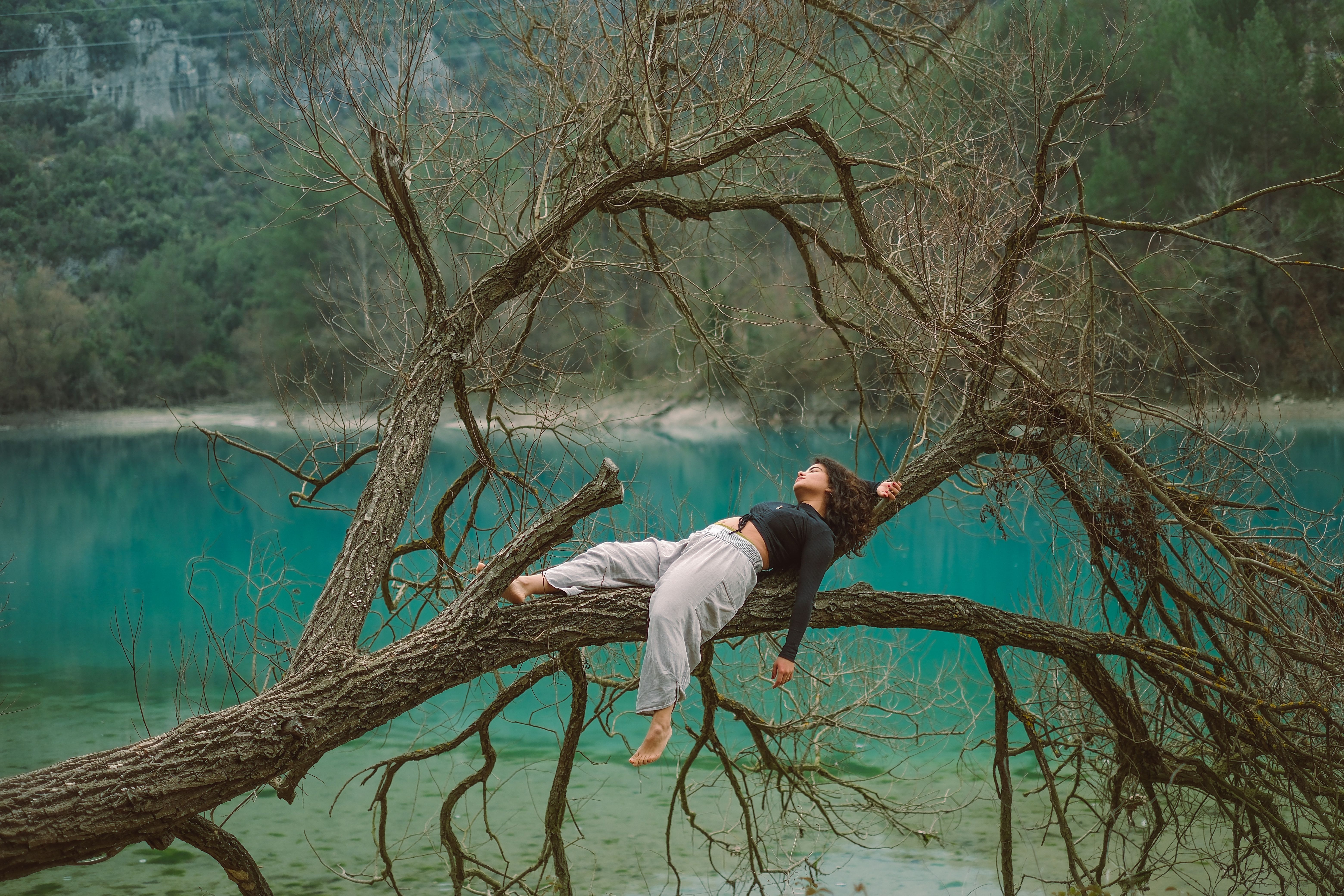 Woman Sleeping in a Tree Leaning over the Lake · Free Stock Photo