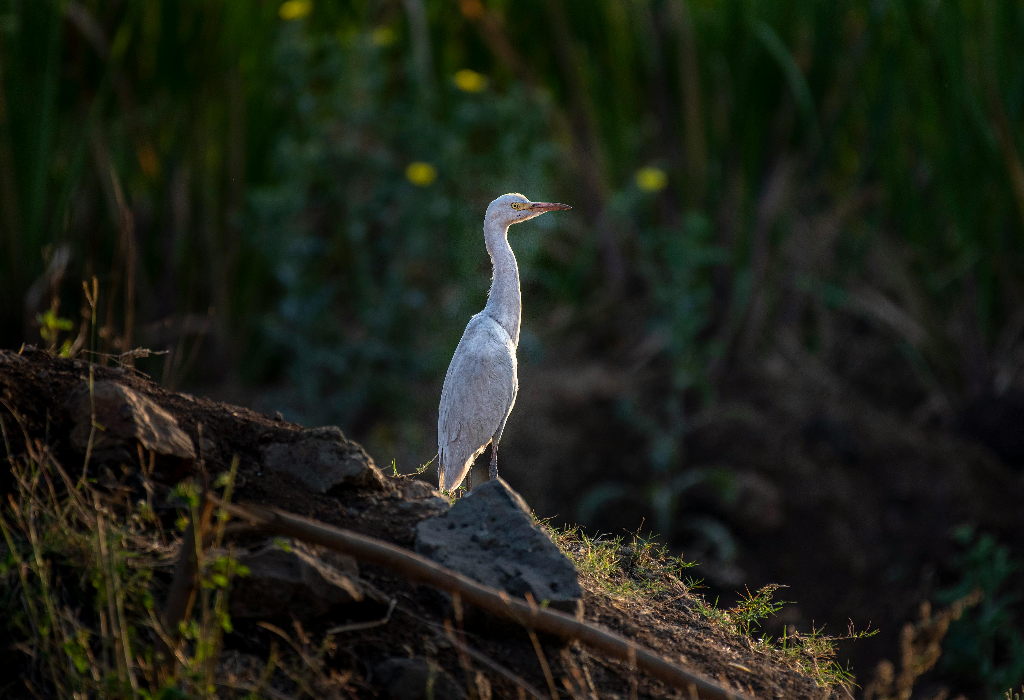 Delta Waterbody Photos, Download The BEST Free Delta Waterbody Stock ...