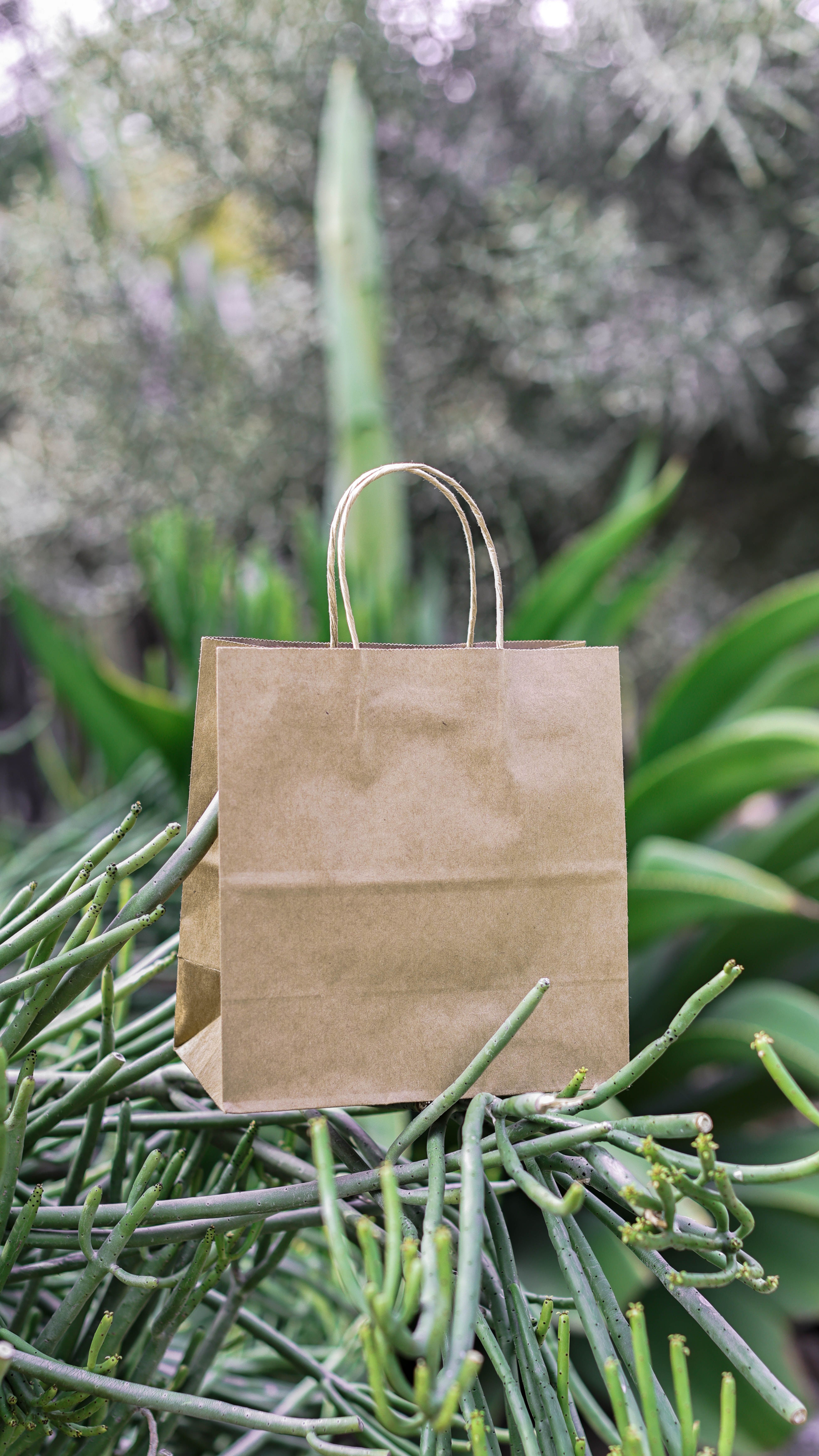 Paper Bag on Plants · Free Stock Photo
