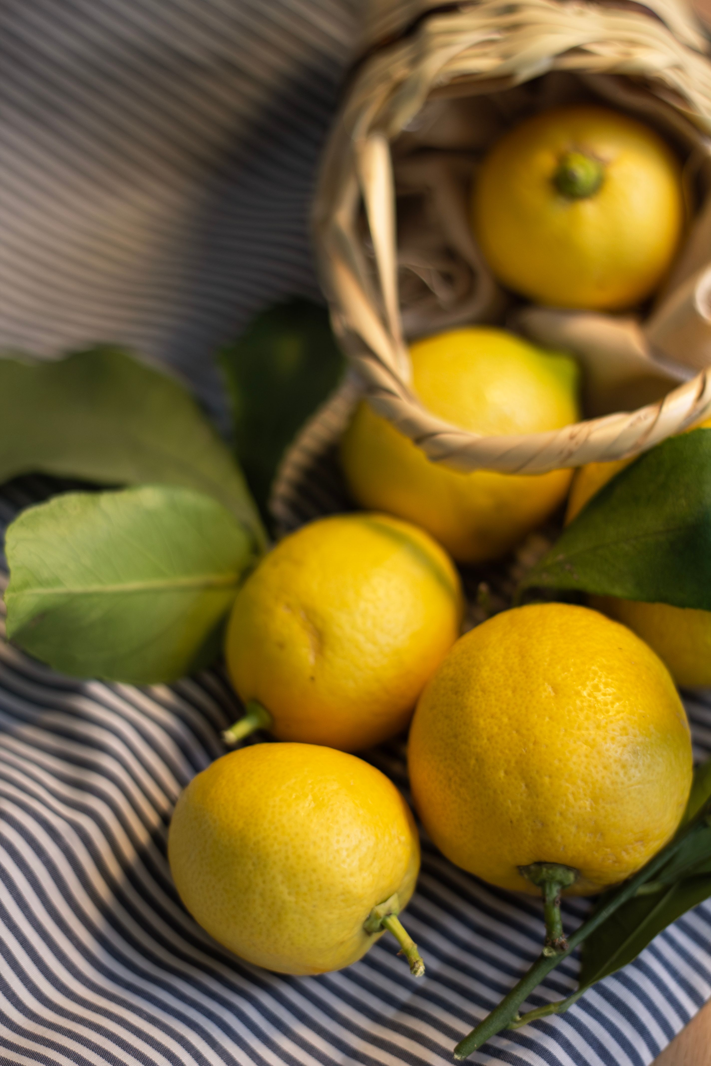 Four Lemon Fruits Forming Straight Line on a White Background · Free ...