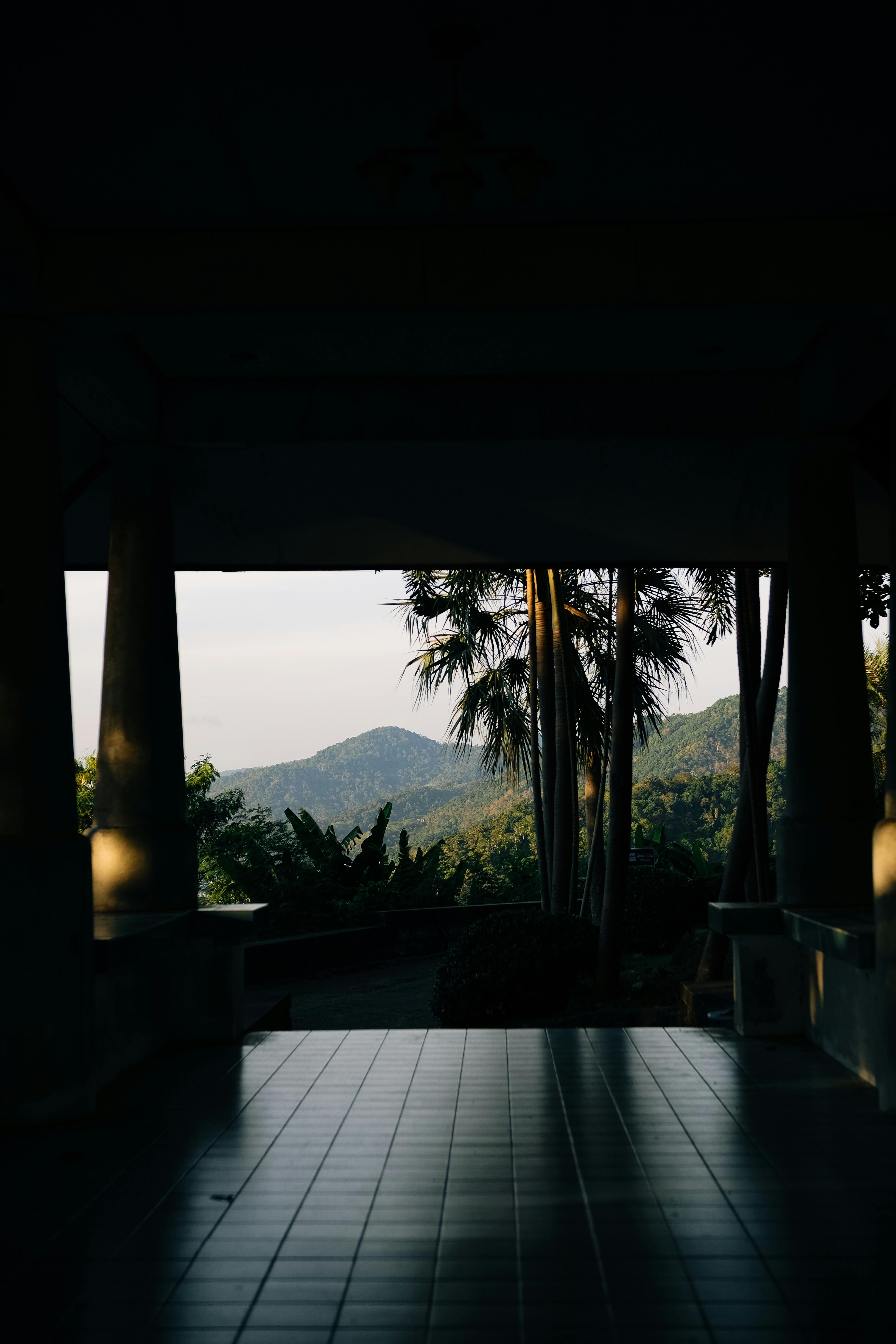 Kseniya Budko - Photography