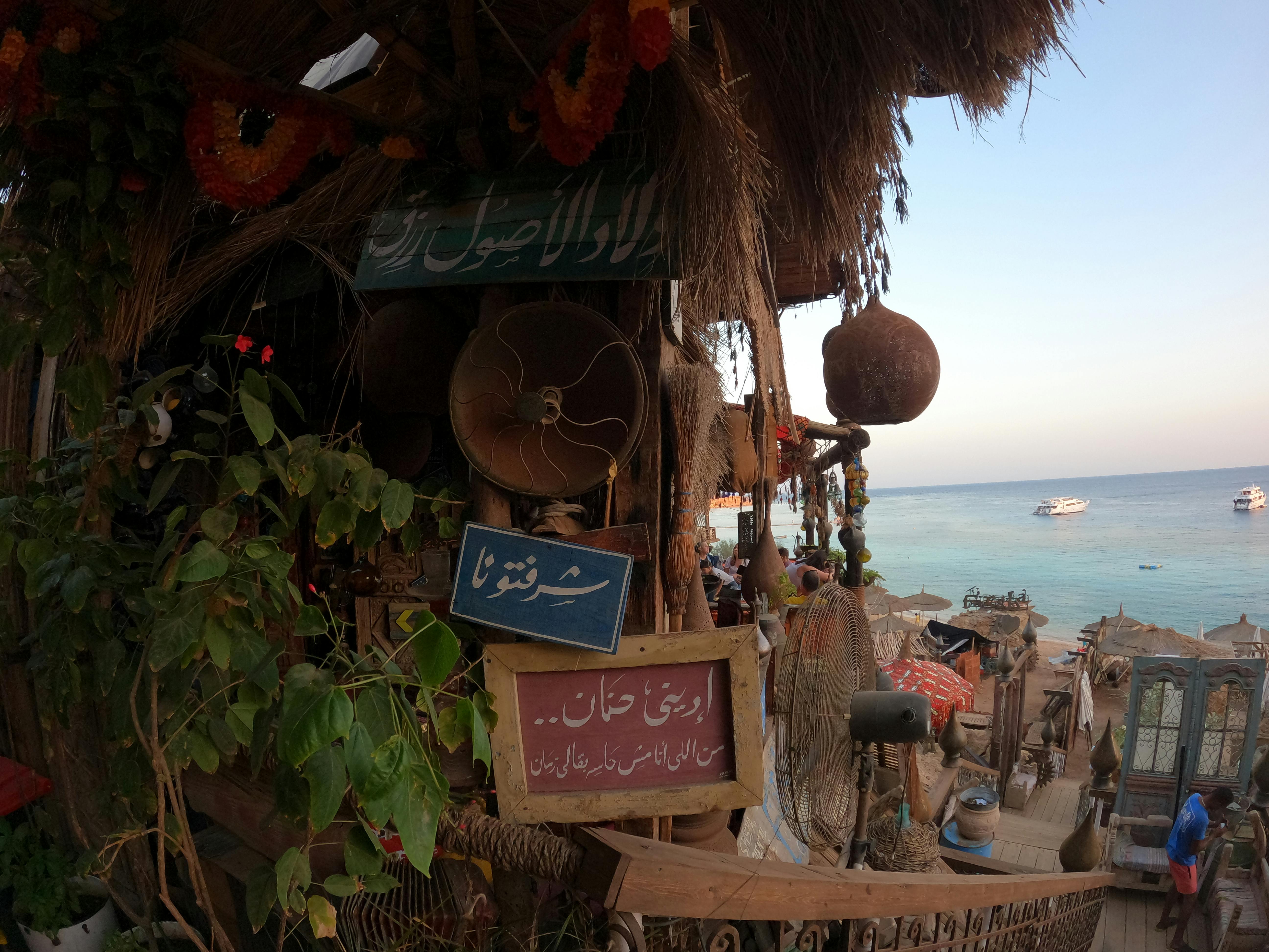 Egypt vibe 41 Photos & Videos Collected by Anastasiia Popova