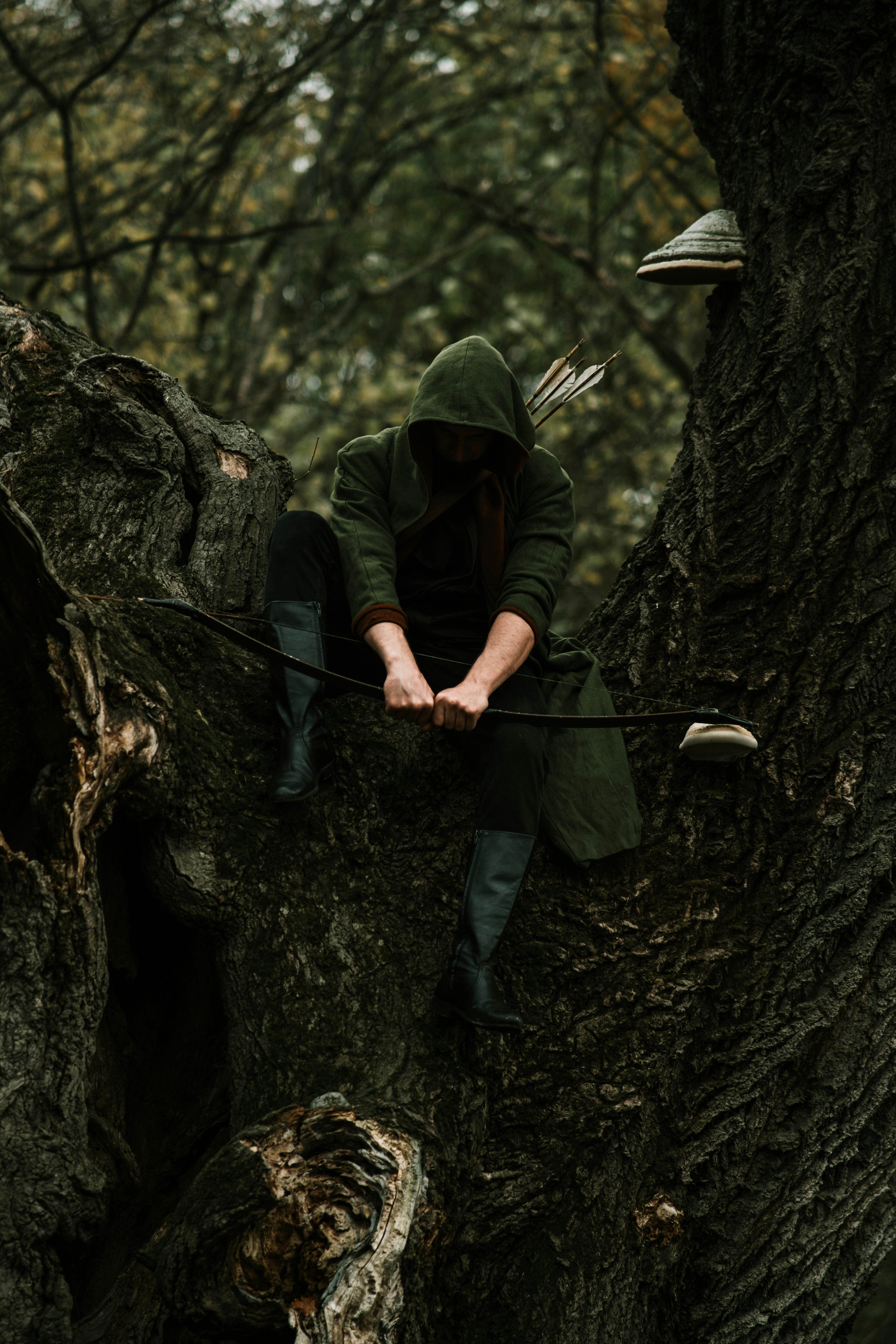 Robin Hood Sitting in a Tree with a Bow in His Hand · Free Stock Photo