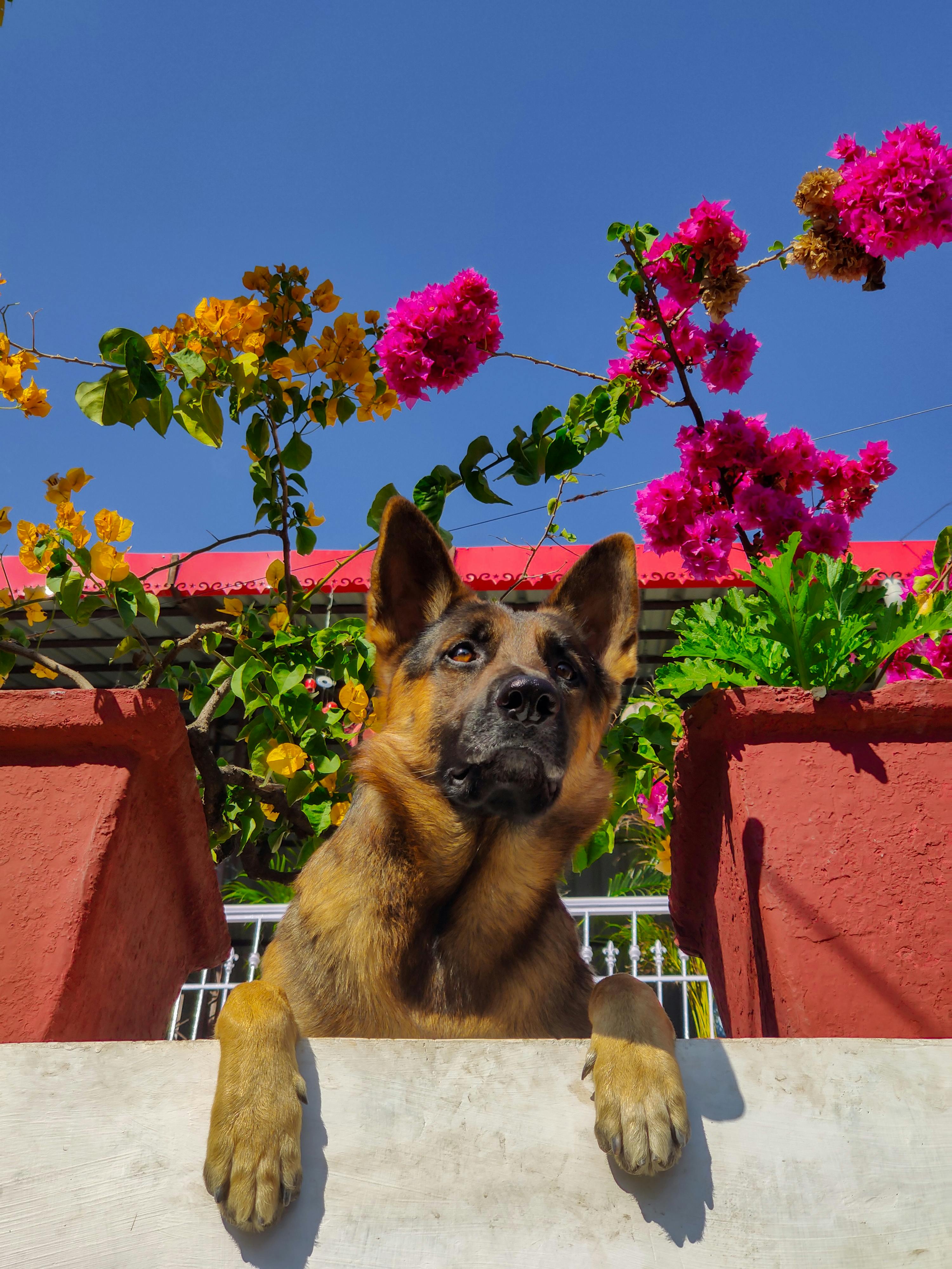 Exploded Head Photos, Download The BEST Free Exploded Head Stock Photos ...