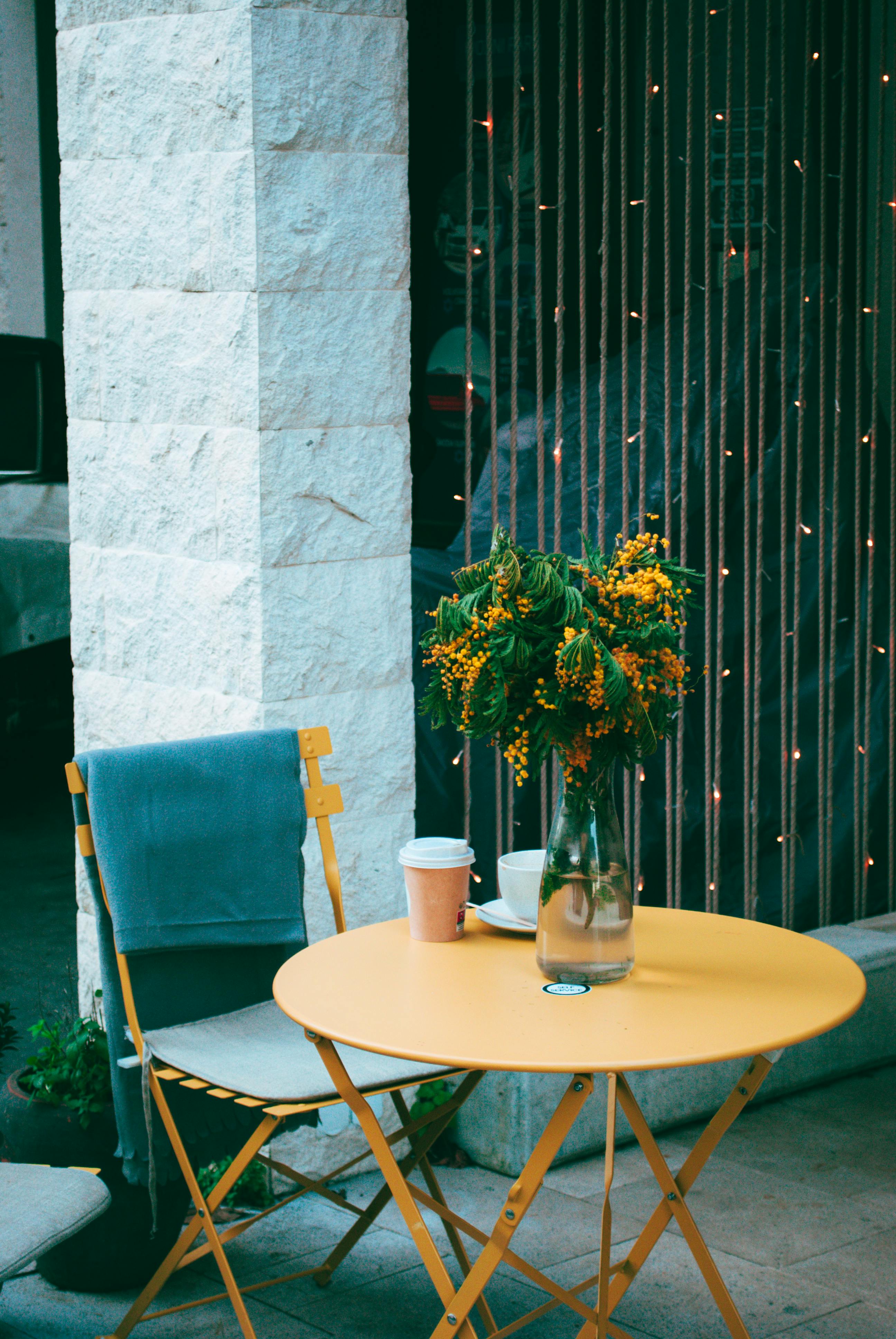 Face Plants Photos, Download The BEST Free Face Plants Stock Photos ...