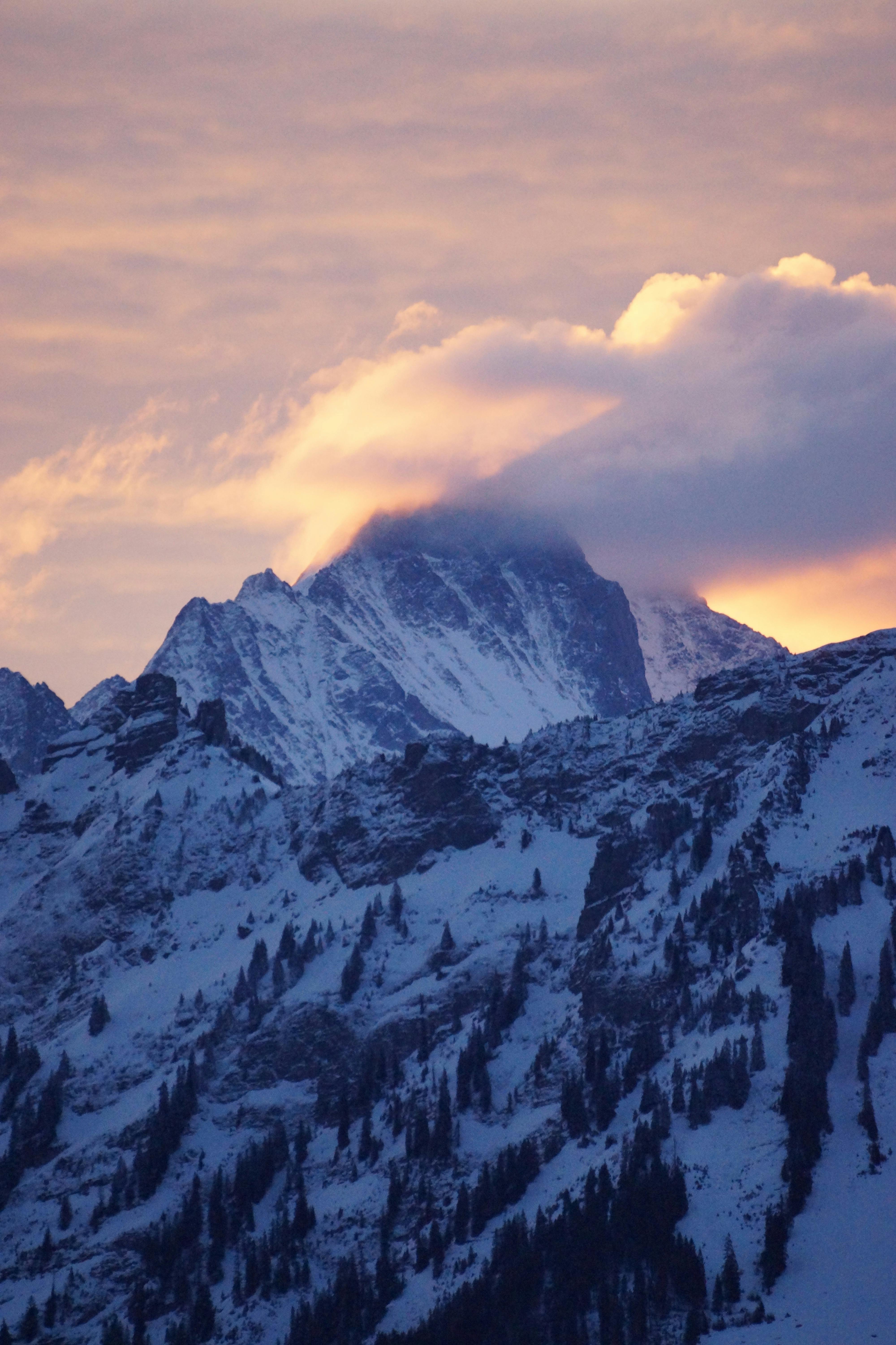 Sunshine 🌞 · Free Stock Photo