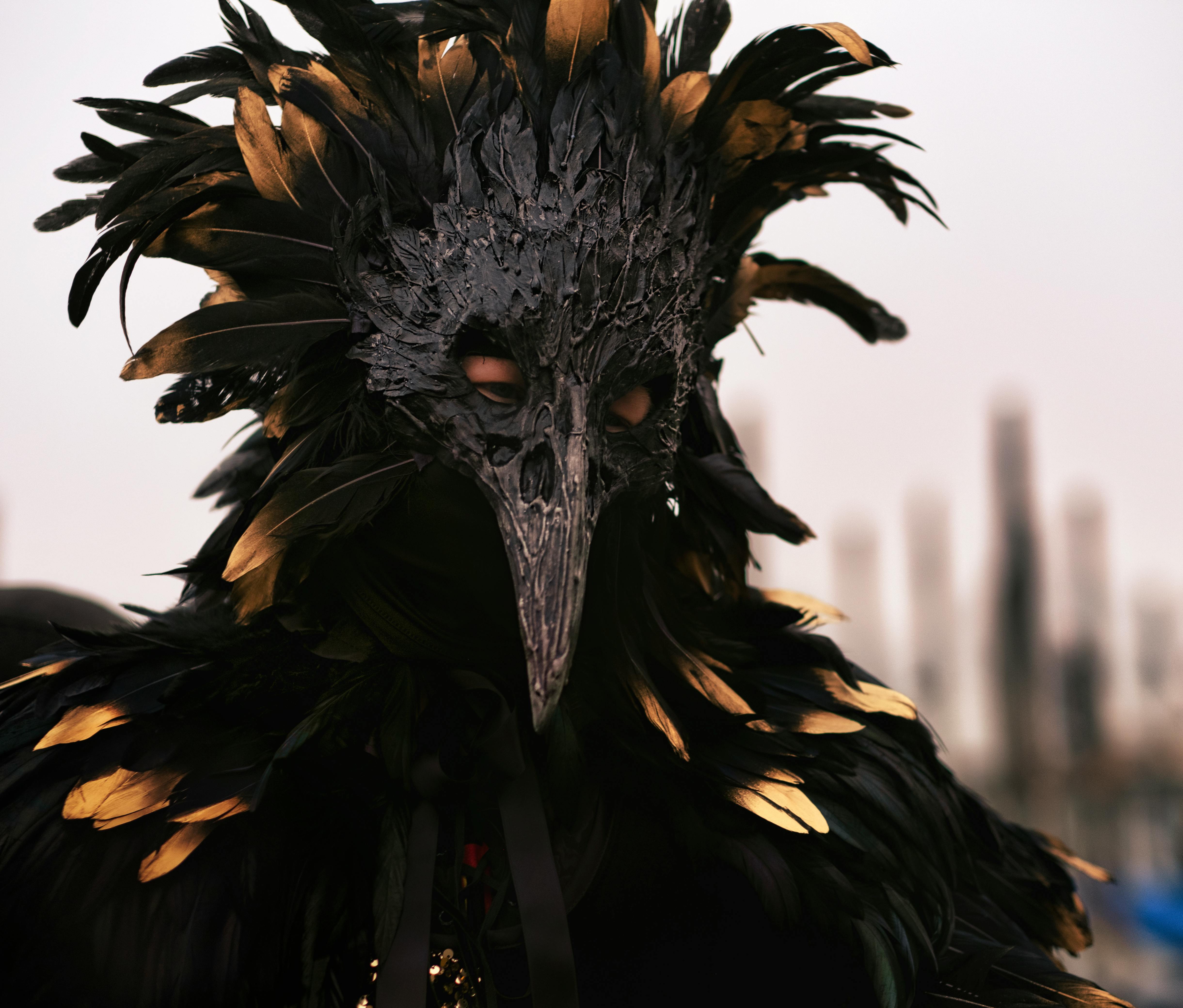 Eagle Mask Photos, Download The BEST Free Eagle Mask Stock Photos & HD ...