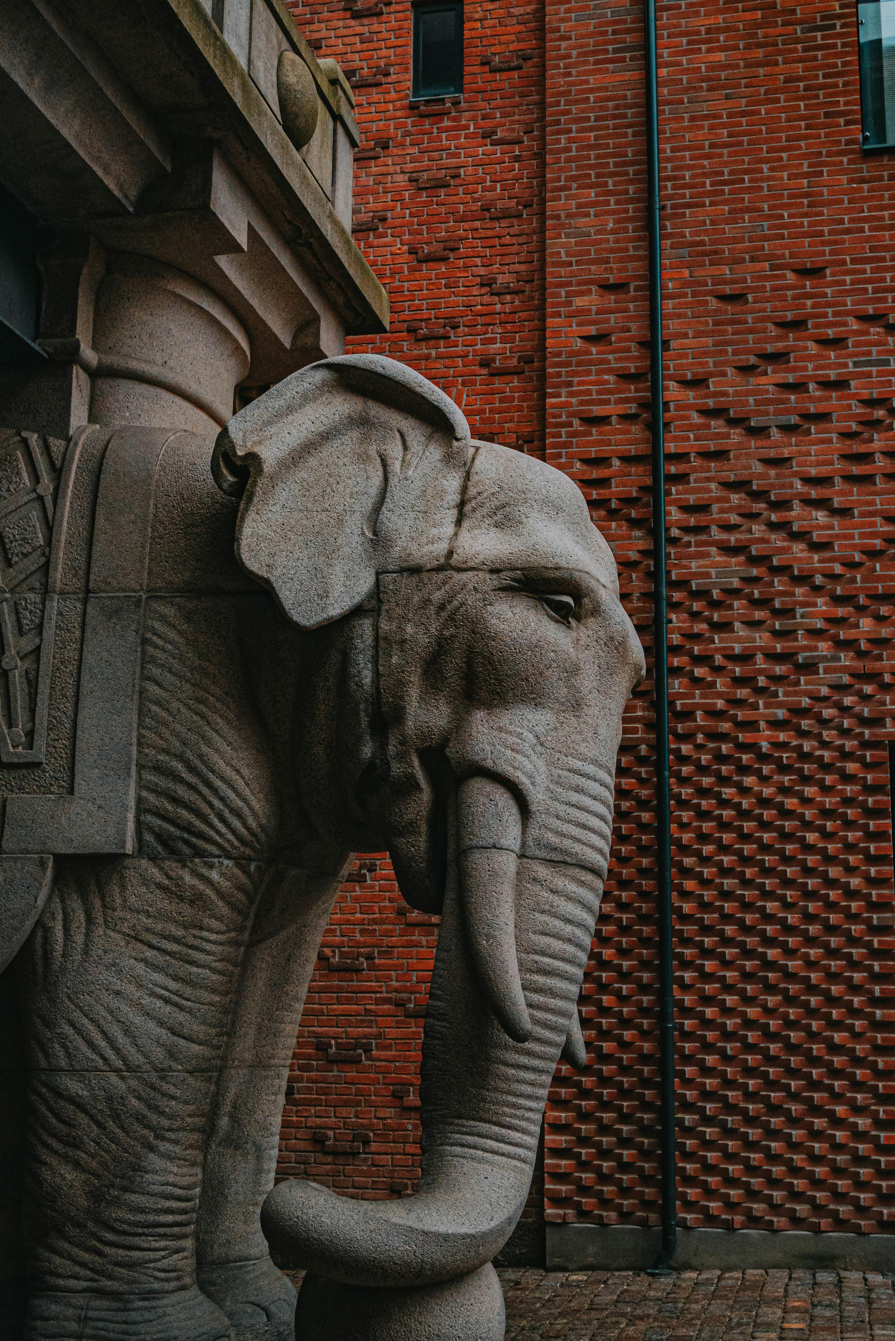 Sculpture of Elephant Gate in Carlsberg District of Copenhagen · Free ...