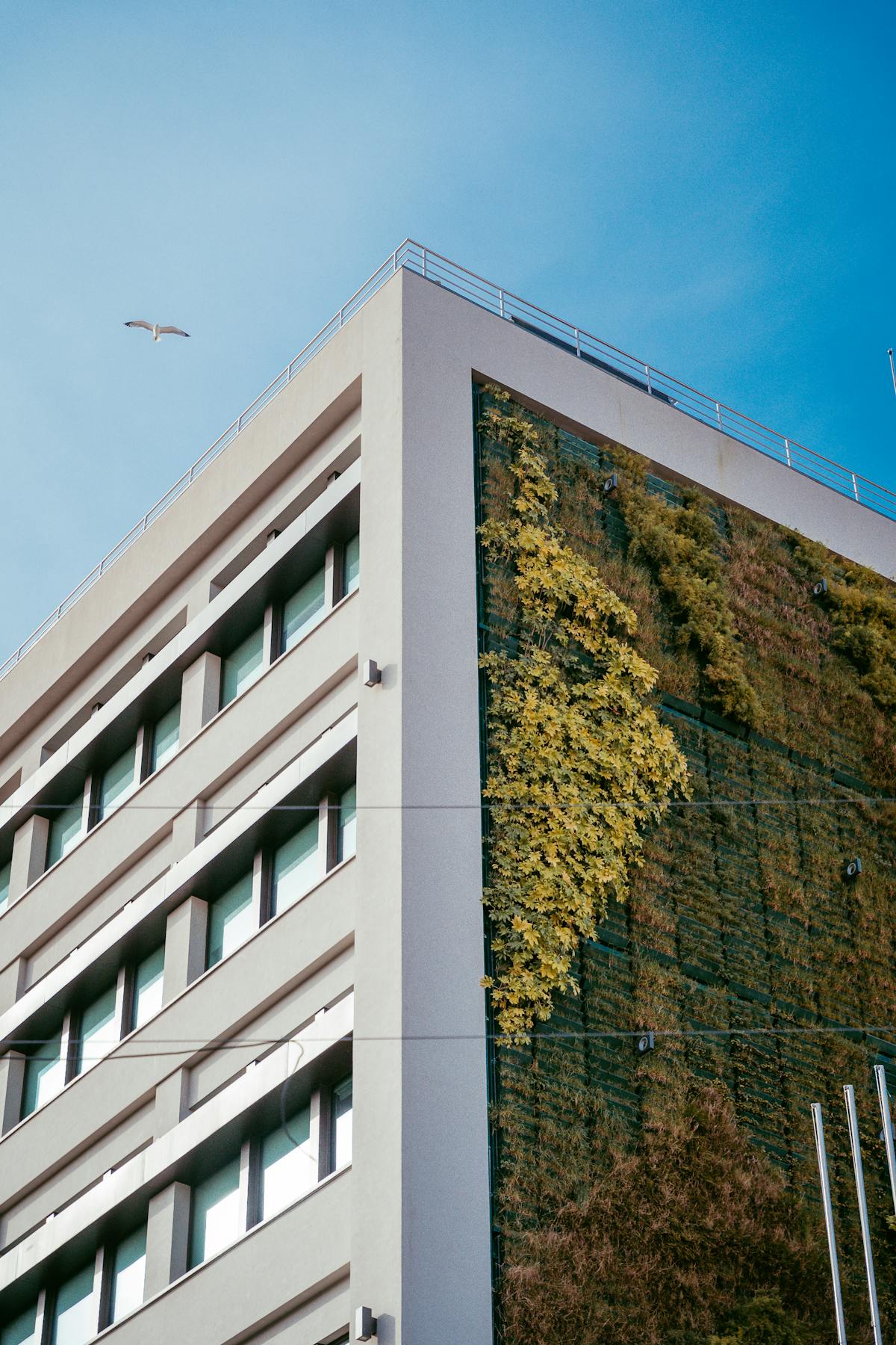 Green Building Photos Photos, Download The BEST Free Green Building ...